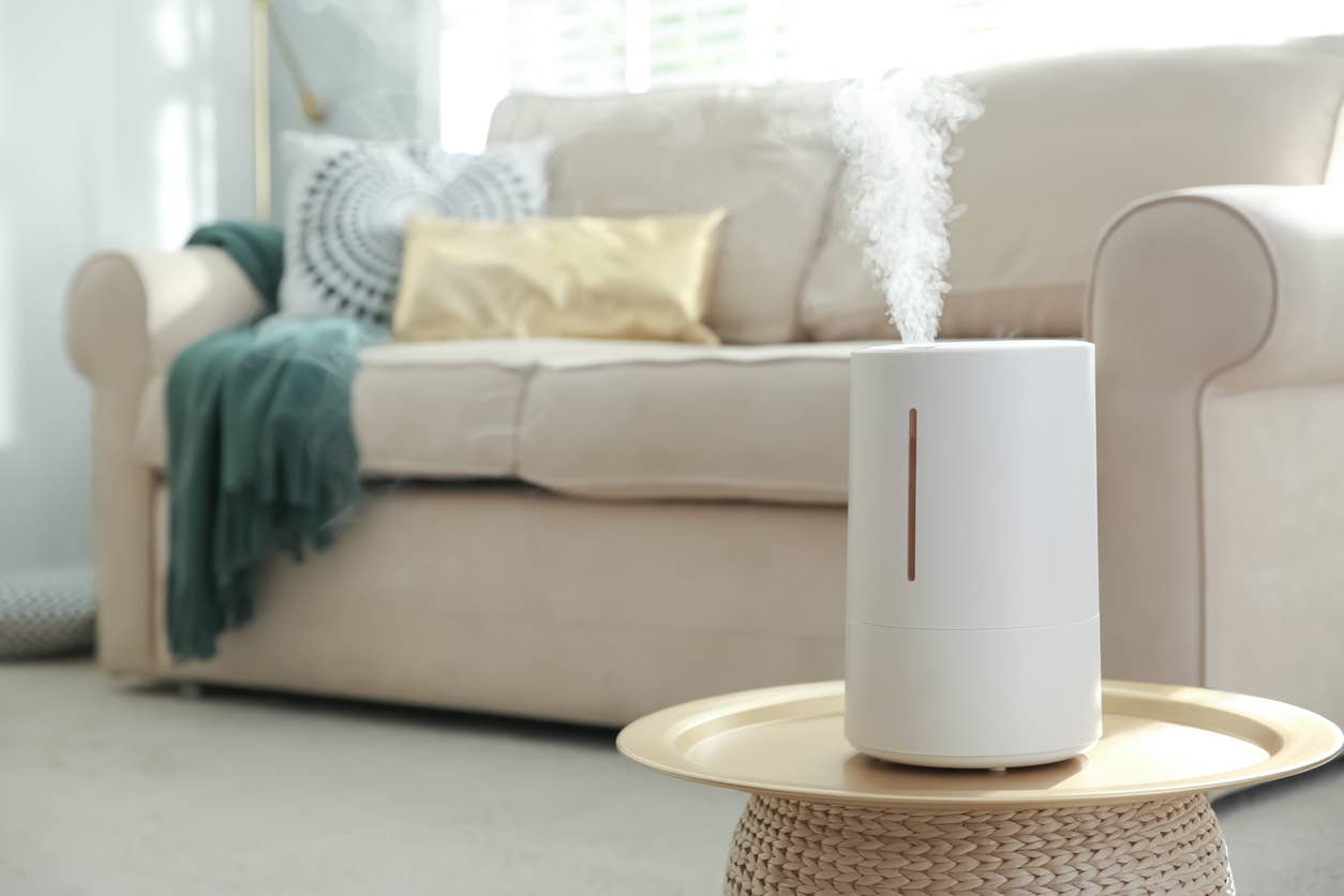 How To Clean a Humidifier (Step-By-Step With Photos) - Parade Home & Garden