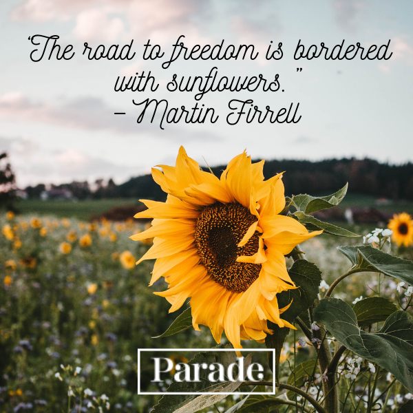 75 Sunflower Quotes to Bring You Joy - Parade Home & Garden