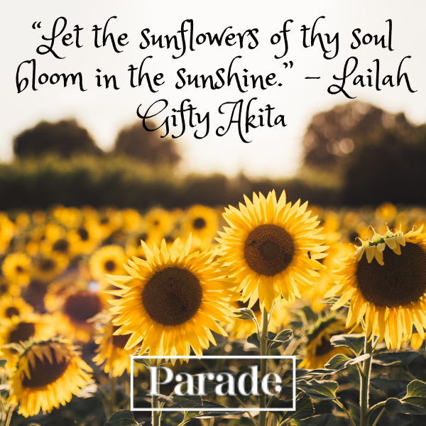 75 Sunflower Quotes to Bring You Joy - Parade Home & Garden