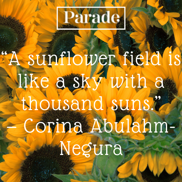 75 Sunflower Quotes to Bring You Joy - Parade Home & Garden