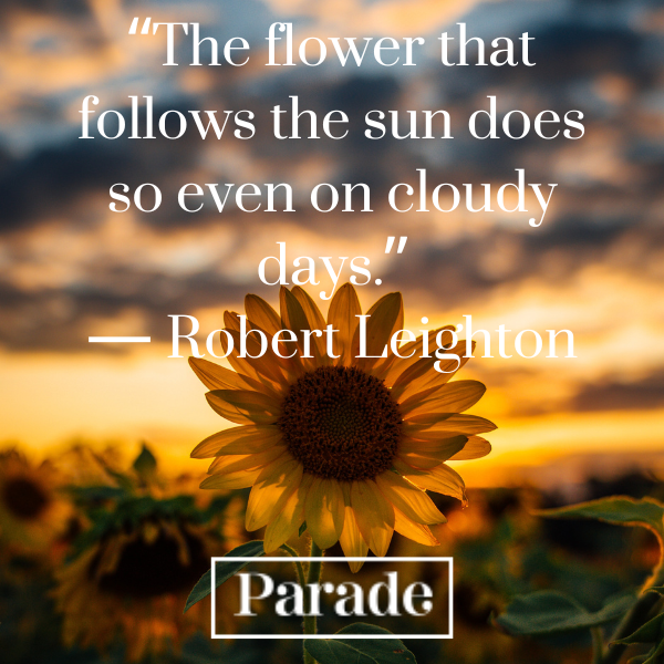 75 Sunflower Quotes to Bring You Joy - Parade Home & Garden