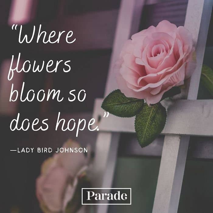 105 Flower Quotes to Inspire Your Day - Parade Home & Garden