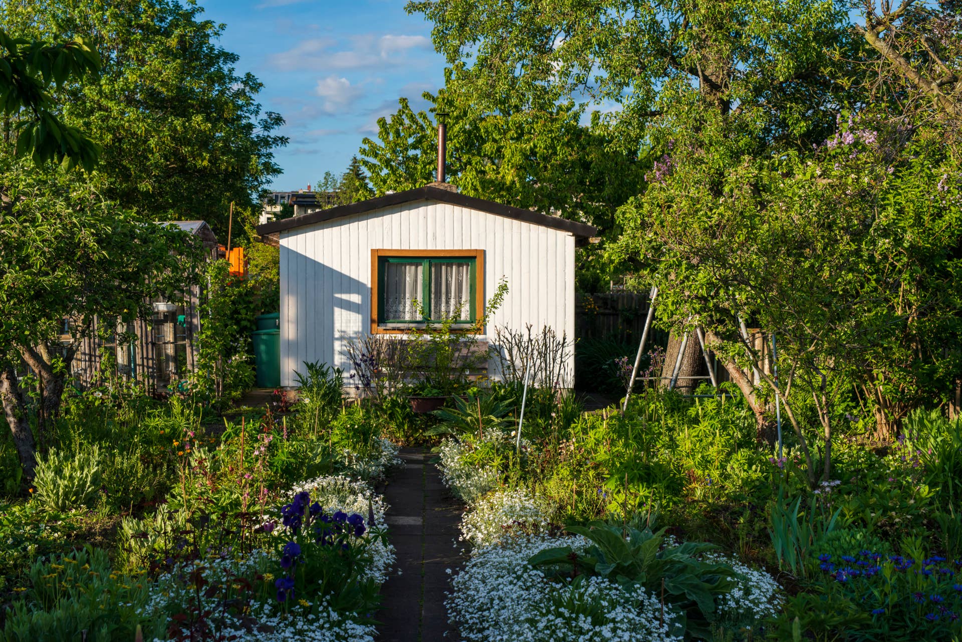 18 Shed Ideas That Add Functionality to your Backyard - Parade Home ...