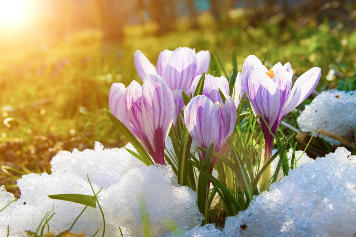The Old Farmer's Almanac Updated a Map Gardeners Need to See - Parade ...