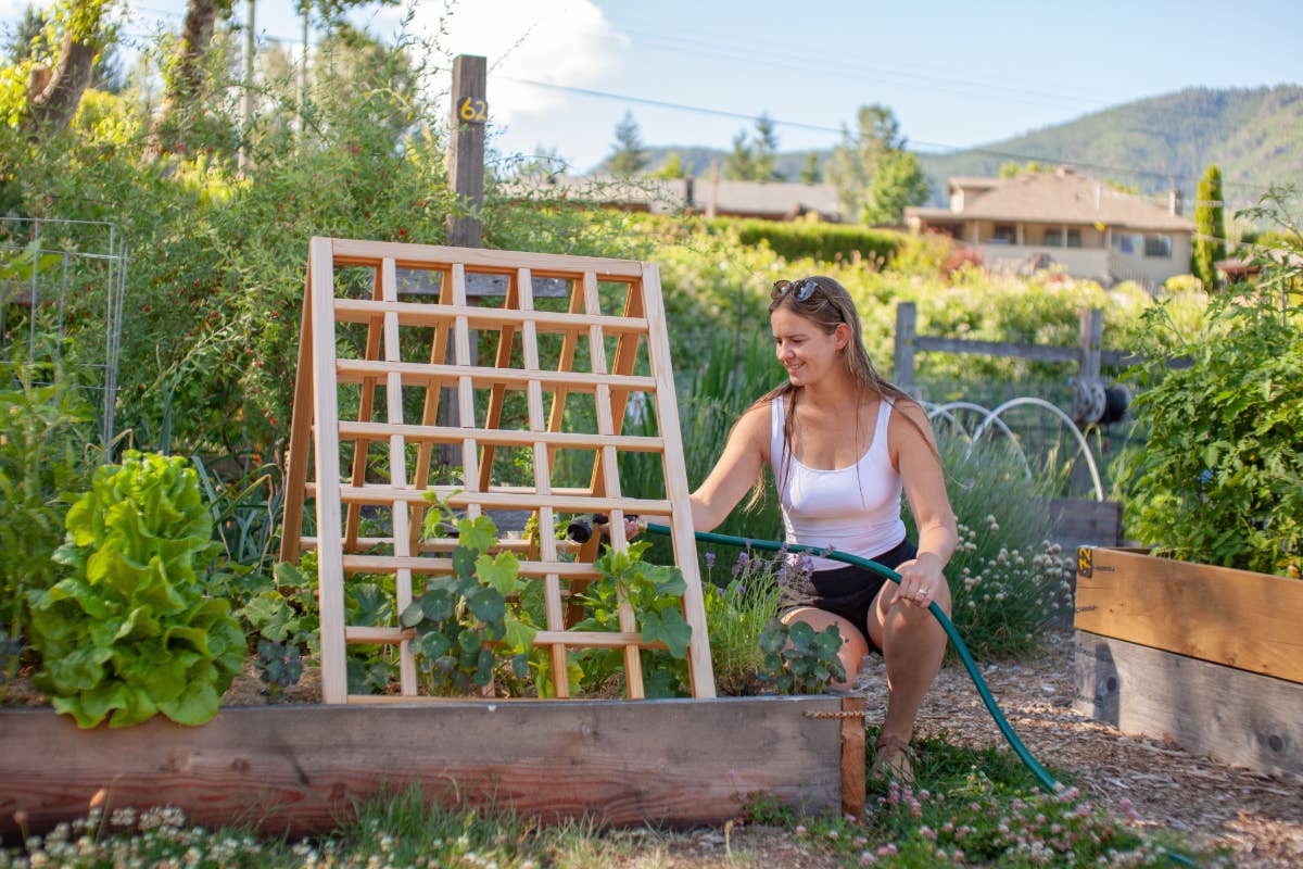 Here's What You Can Grow On a Trellis - Parade Home & Garden