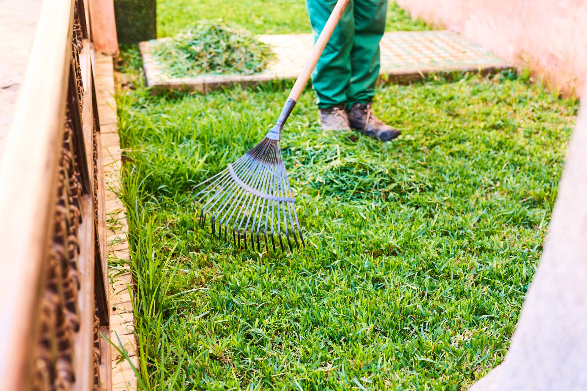 What Is Snow Mold and How to Get Rid of It - Parade Home & Garden