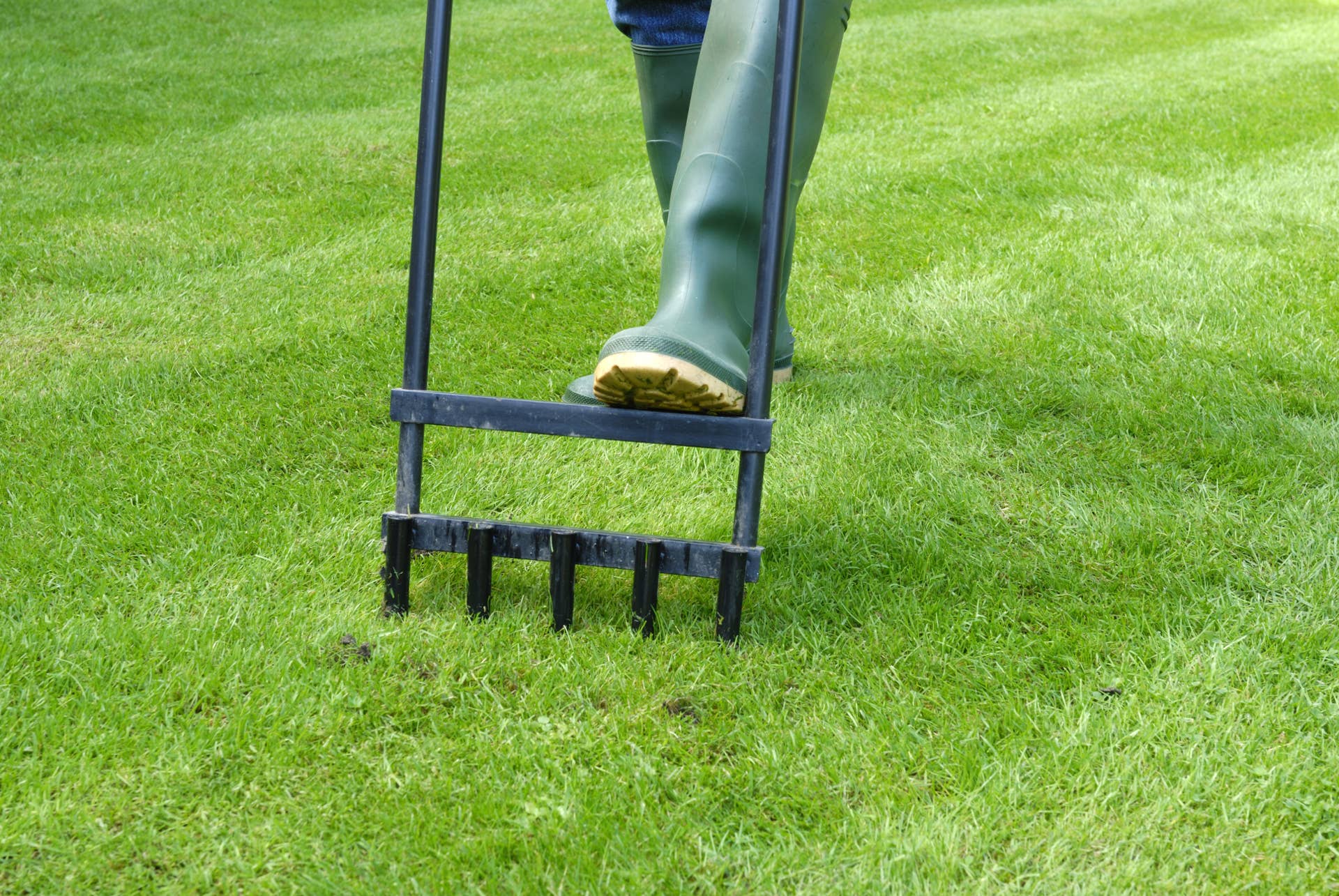 What Is Snow Mold and How to Get Rid of It - Parade Home & Garden