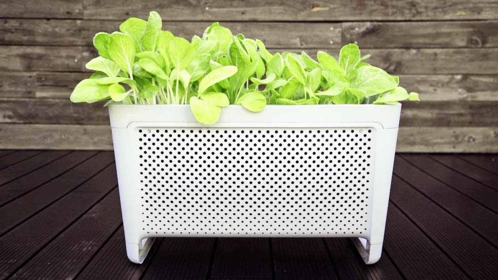 Container Gardening Success with GROW Duo