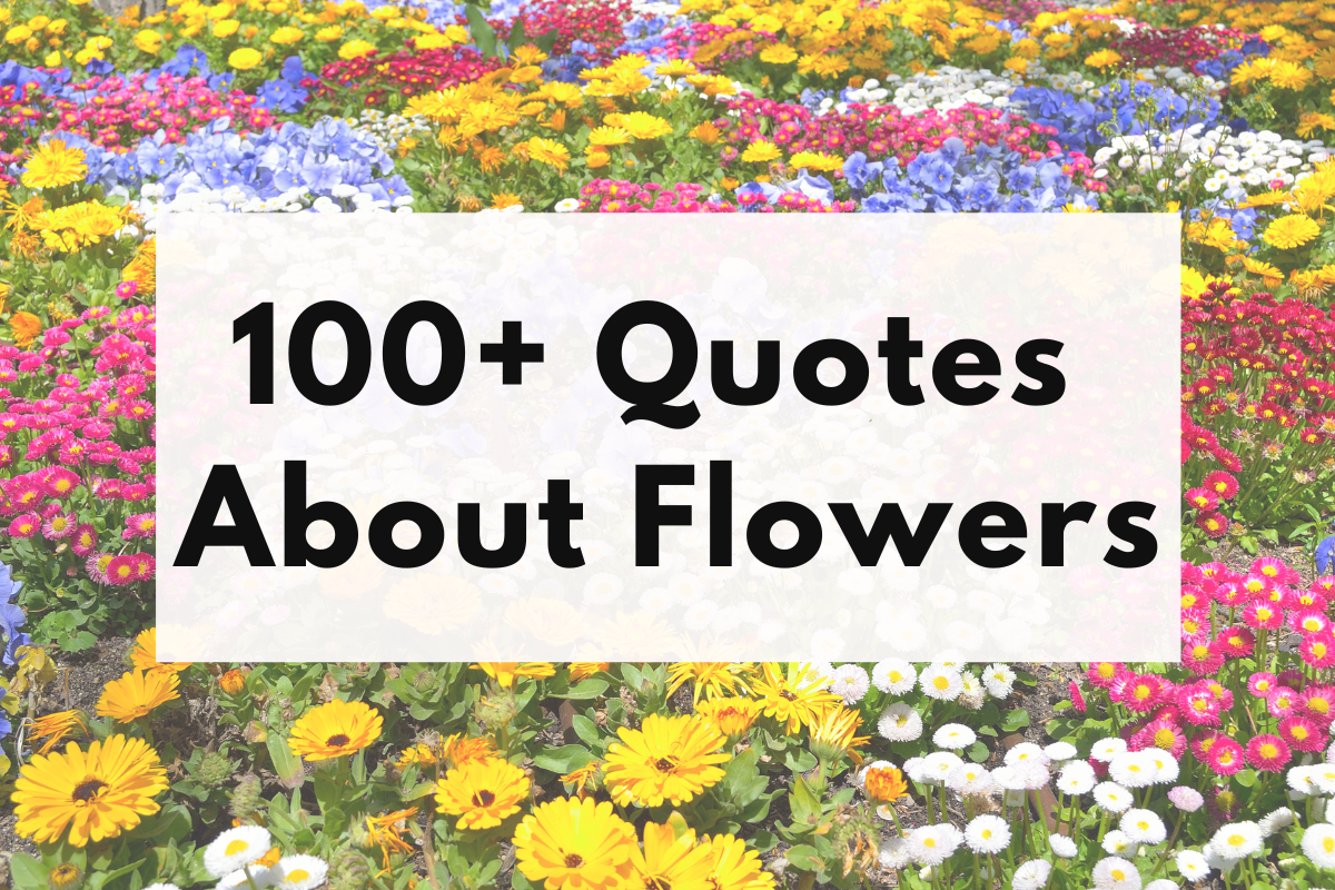 105 Flower Quotes To Inspire Your Day