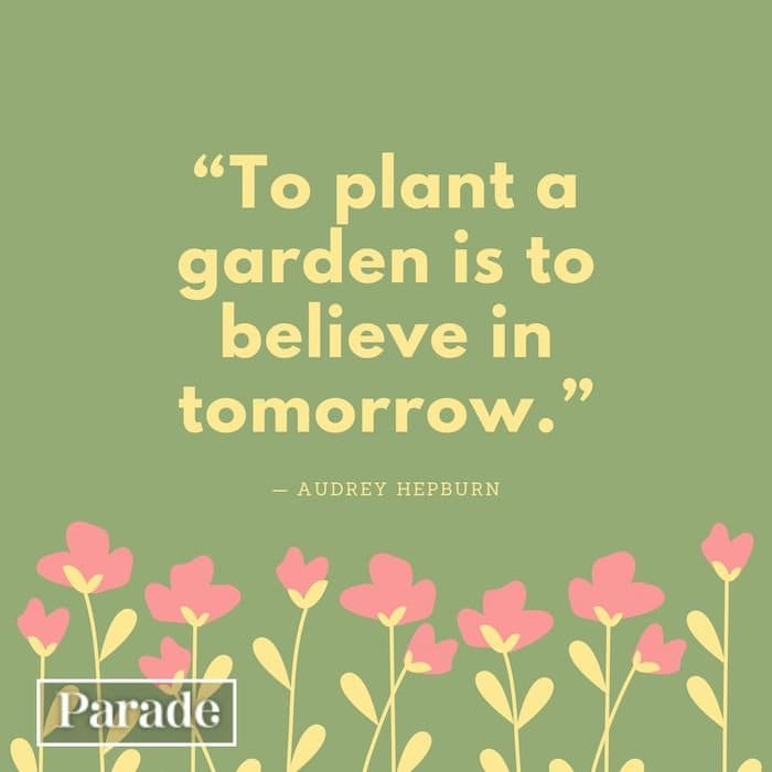 105 Flower Quotes To Inspire Your Day - Parade Home & Garden