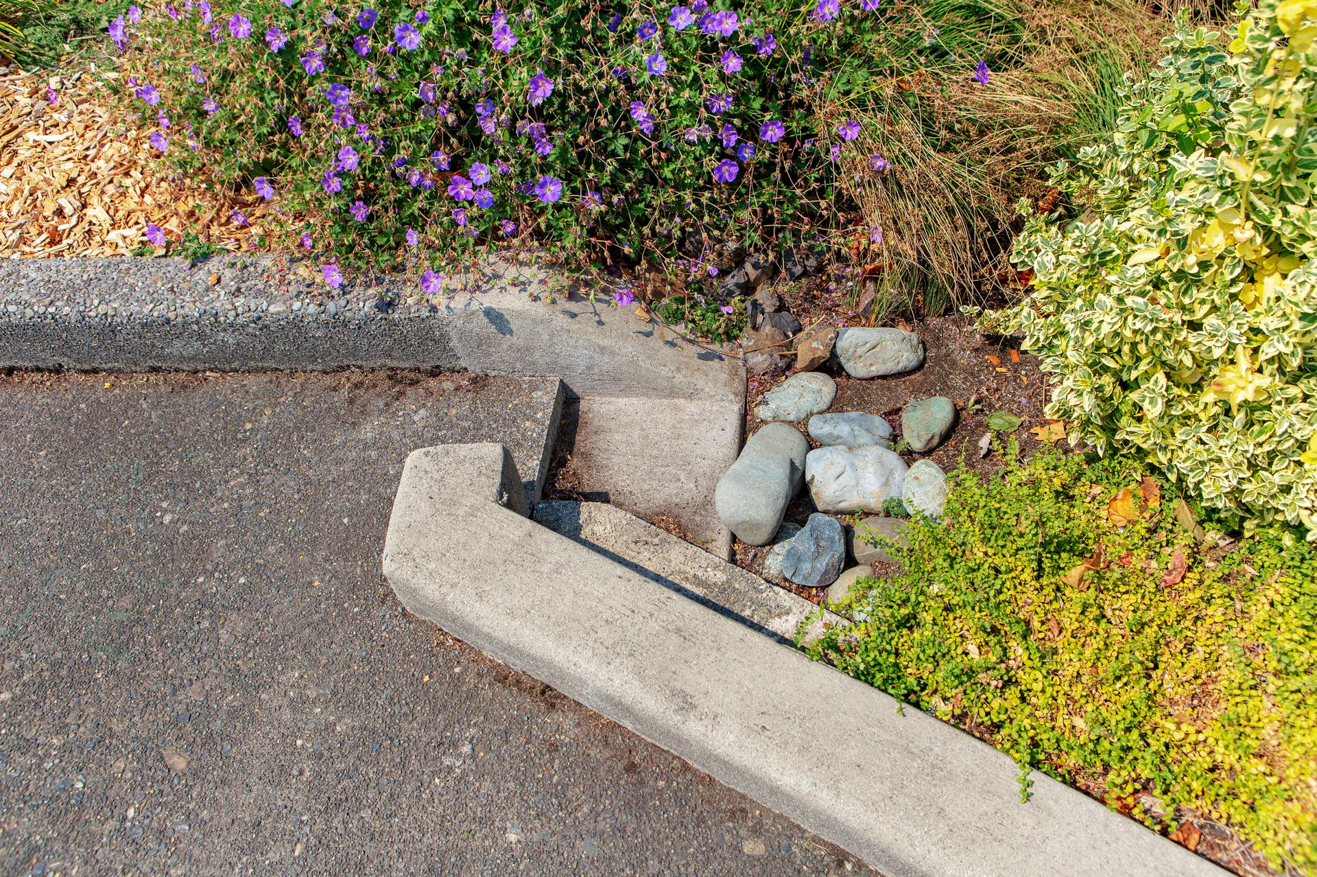 35 Landscape Edging Ideas for an Extra Classy Lawn and Garden - Parade ...
