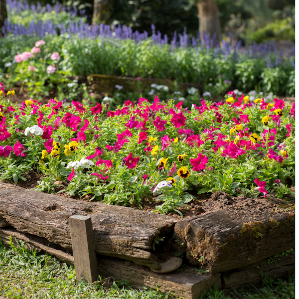 35 Raised Garden Bed Ideas - Parade Home & Garden