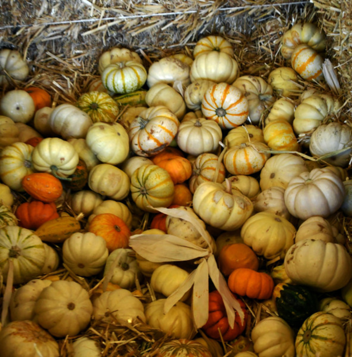 21 Different Types of Pumpkins You'll See This Fall - Parade Home & Garden