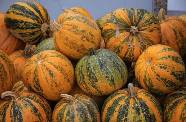 21 Different Types of Pumpkins You'll See This Fall - Parade Home & Garden
