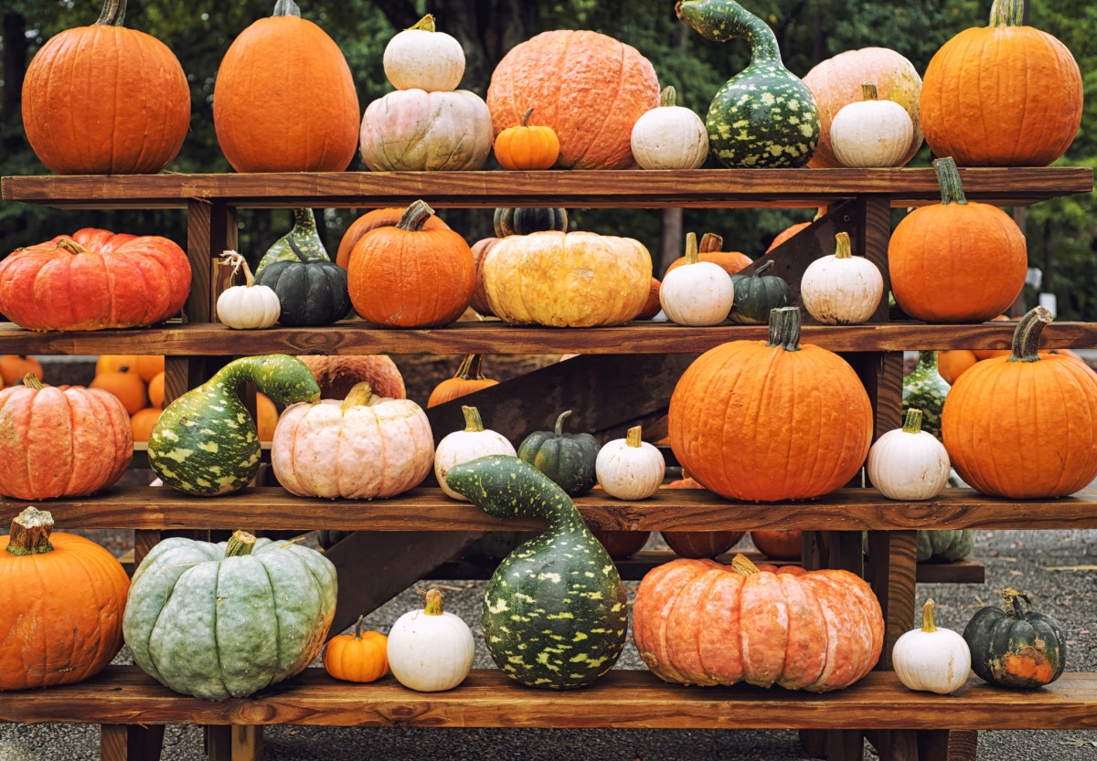 21 Different Types of Pumpkins You'll See This Fall - Parade Home & Garden