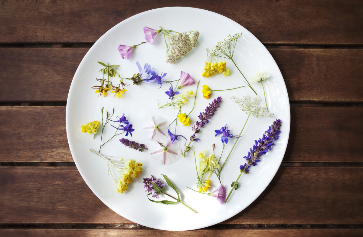 16 Edible Flowers (With Images, Expert Tips) - Parade Home & Garden