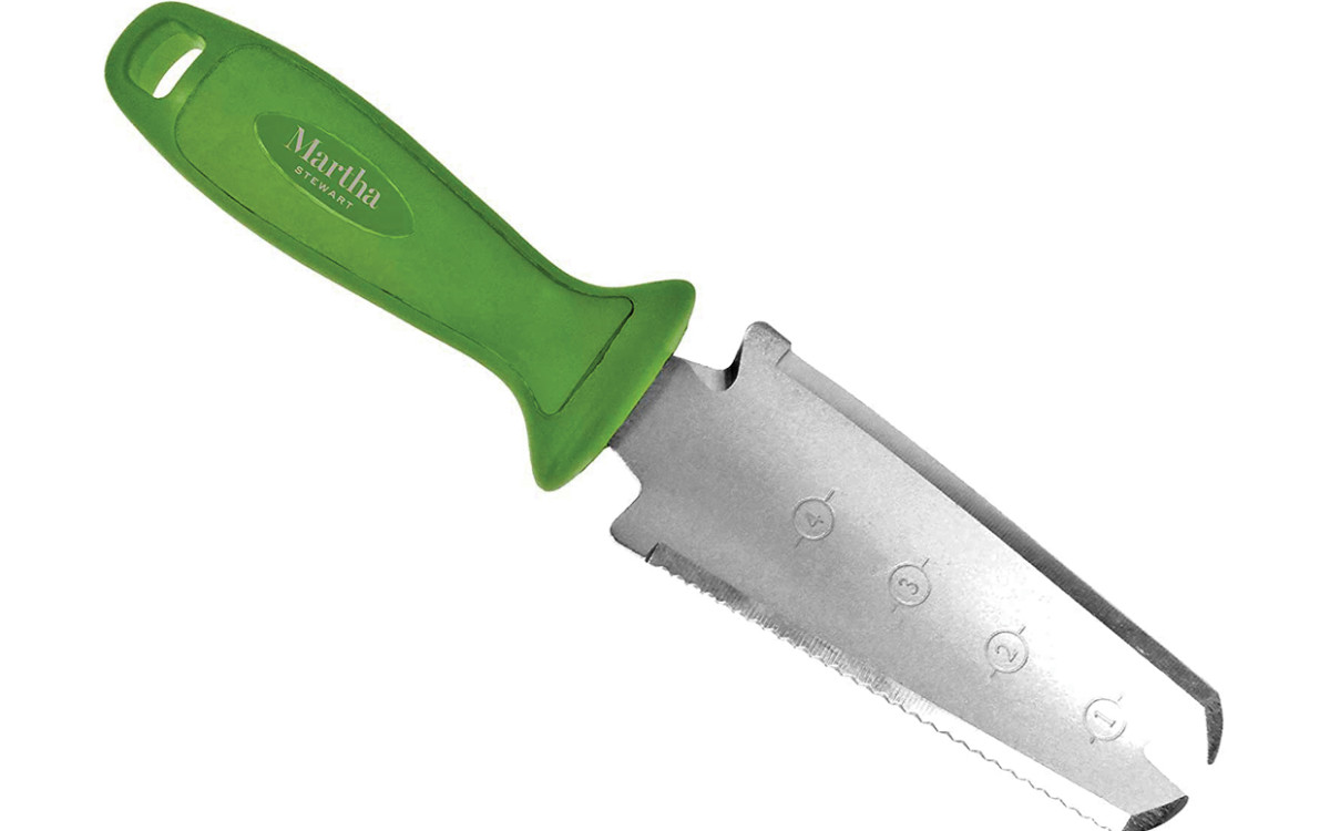 5 Tips for Starting Your First Garden—or Just Growing a Plant - Parade ...