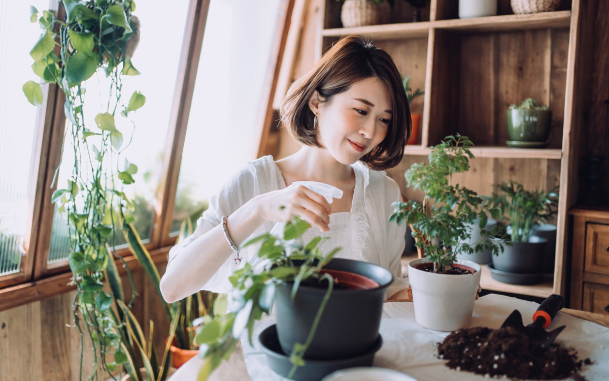 5 Tips for Starting Your First Garden—or Just Growing a Plant - Parade ...