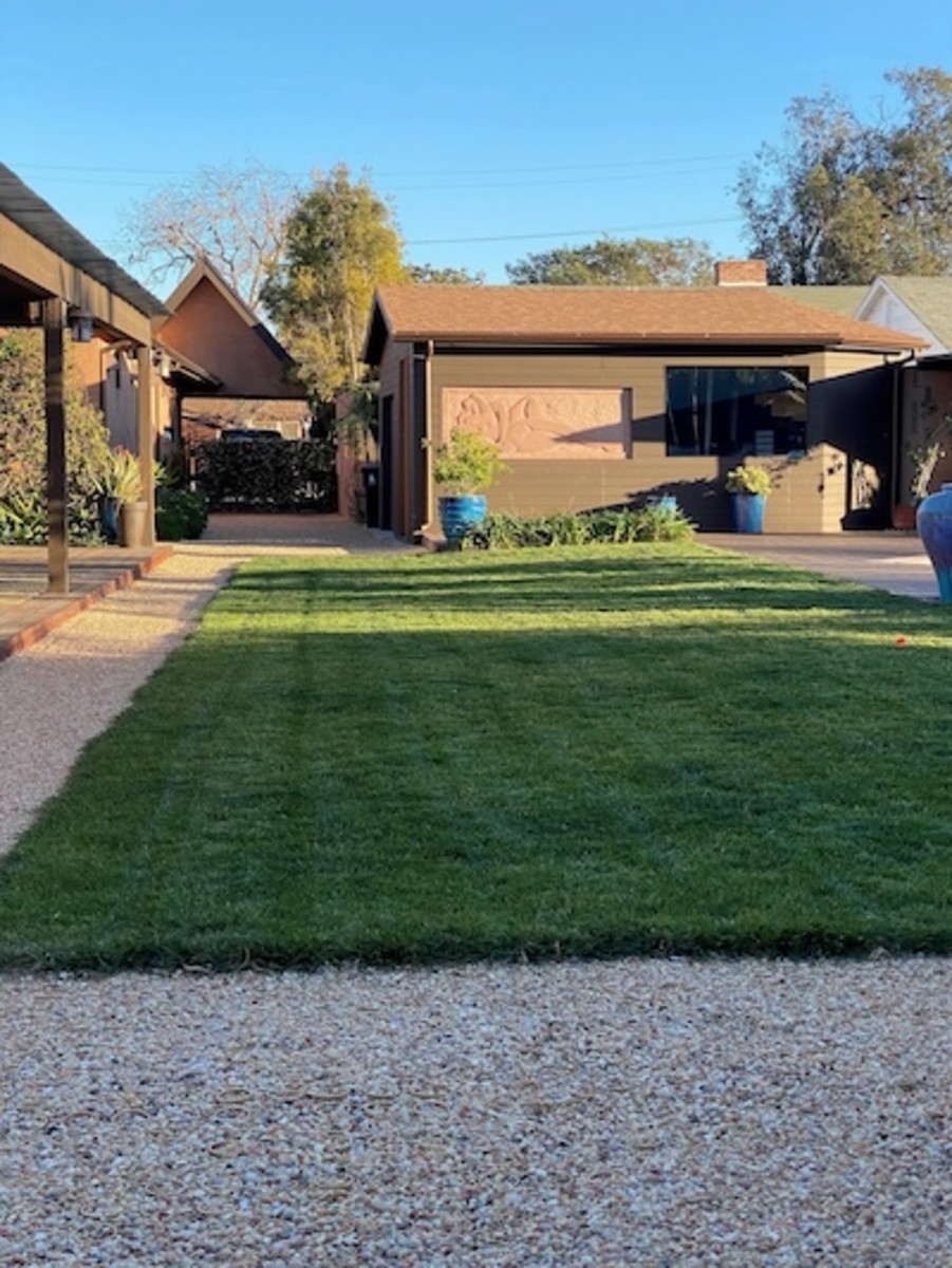 45 Small Garden Ideas (With Expert Tips, Photos) - Parade Home & Garden