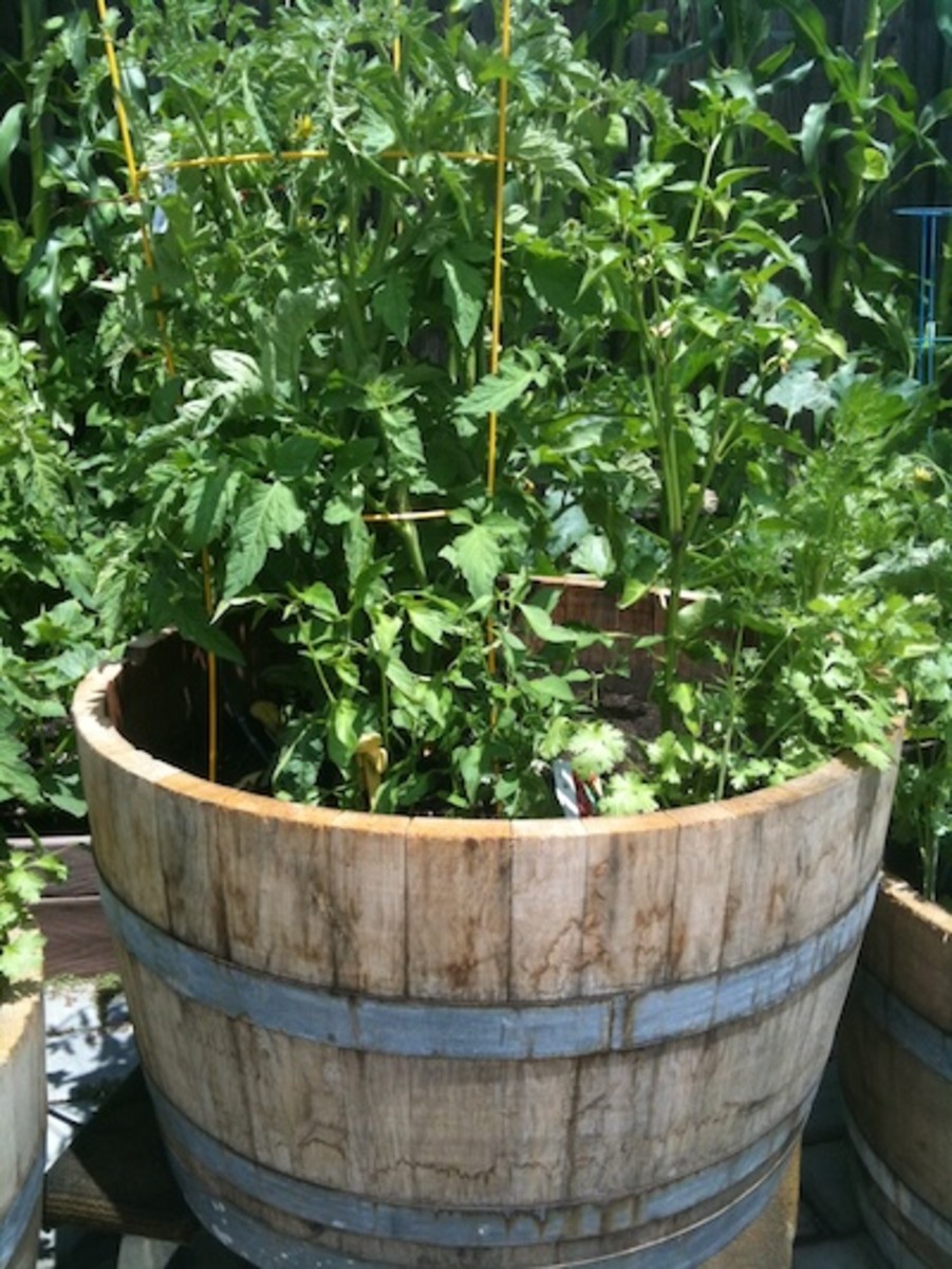 45 Small Garden Ideas (With Expert Tips, Photos) - Parade Home & Garden