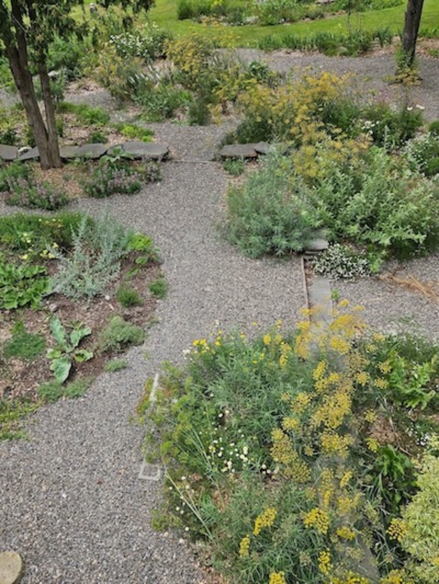 45 Small Garden Ideas (With Expert Tips, Photos) - Parade Home & Garden