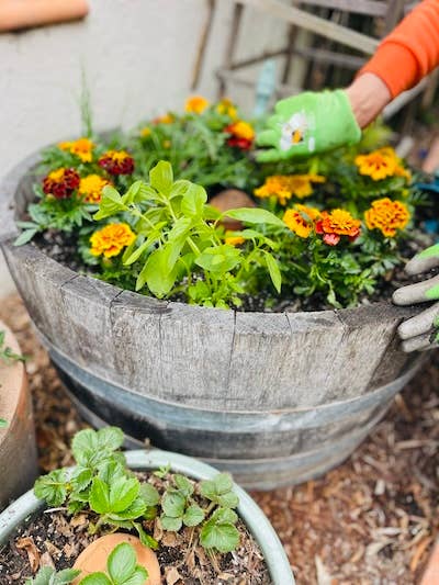 45 Small Garden Ideas (With Expert Tips, Photos) - Parade Home & Garden