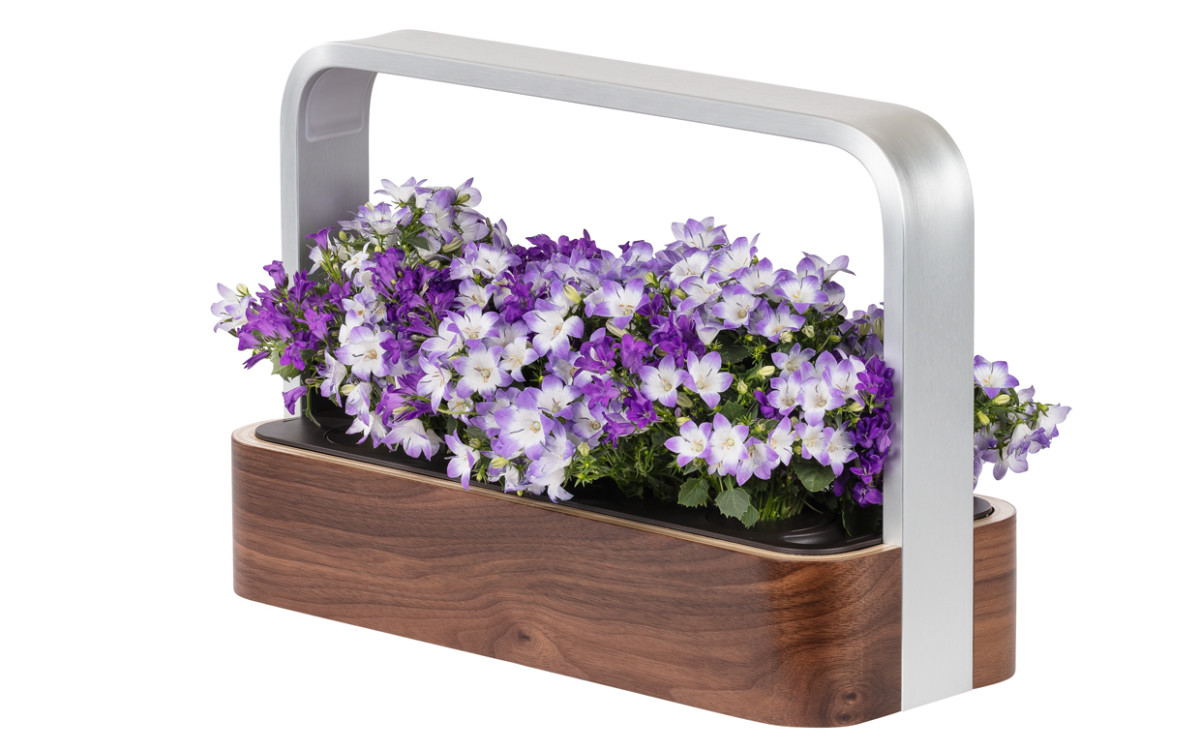 Spring Flowers! 13 Botanical-Inspired Products You Need to Buy This ...