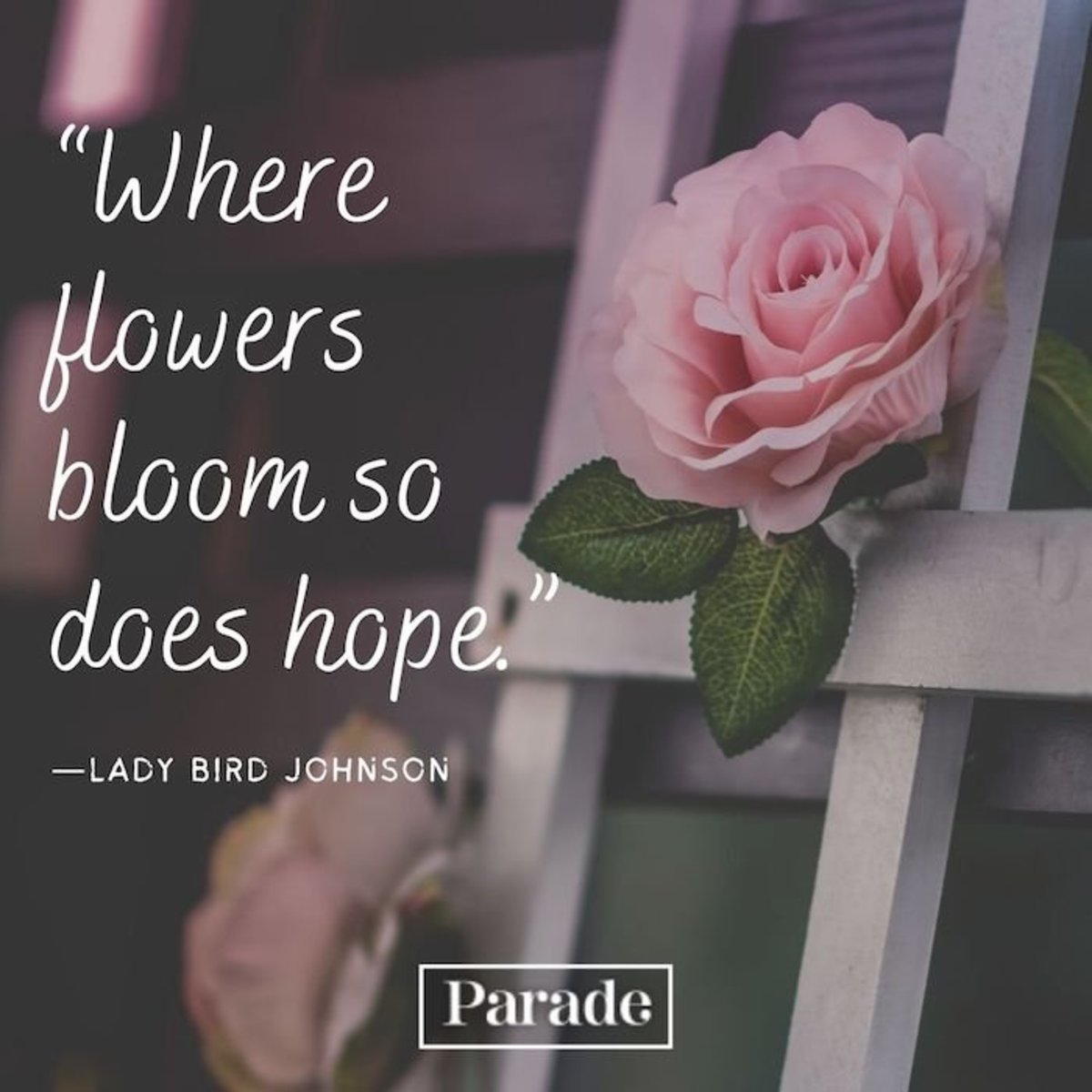 105 Flower Quotes To Inspire Your Day - Parade Home & Garden