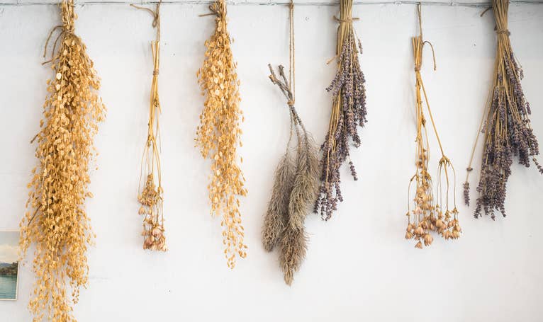 How to Dry and Preserve Flowers - Parade Home & Garden