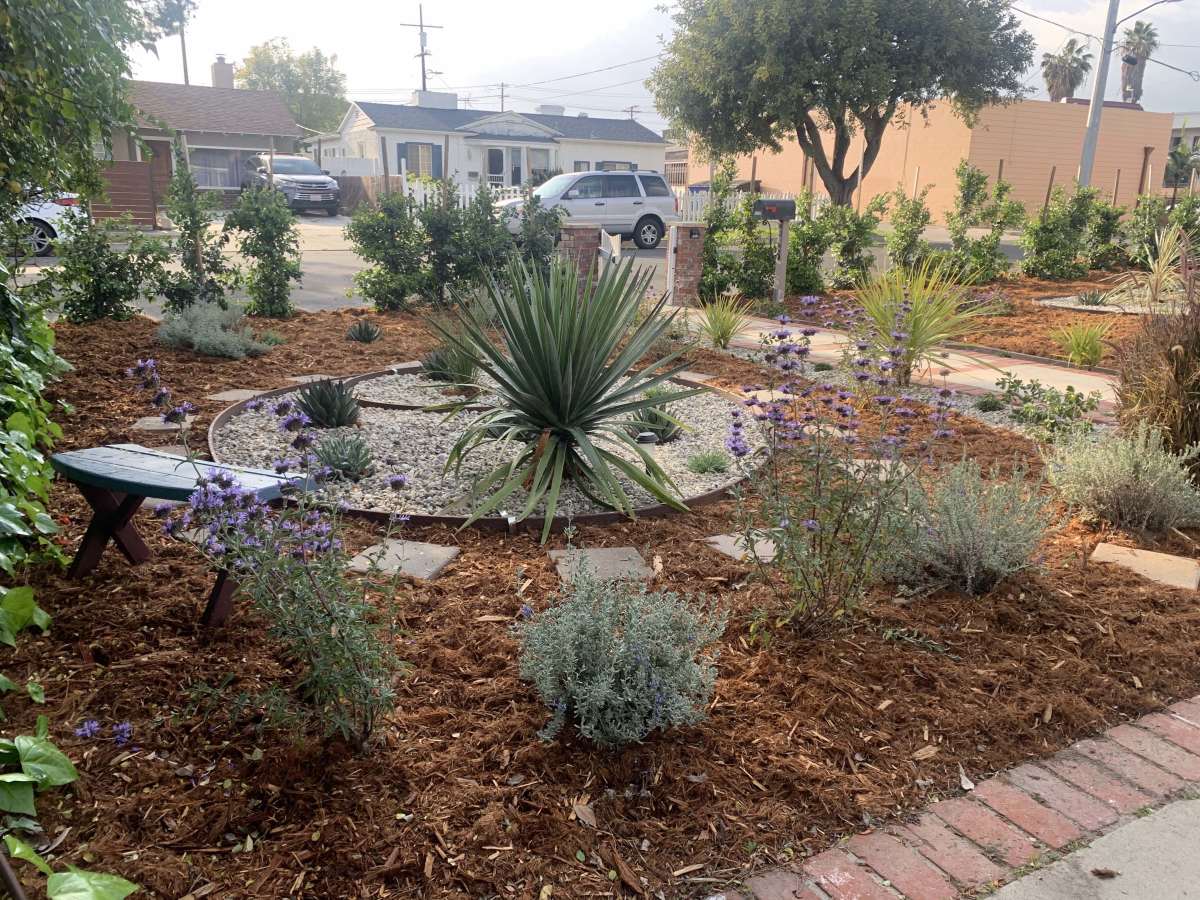 25 Low-Maintenance Front Yard Landscaping Ideas - Parade Home & Garden