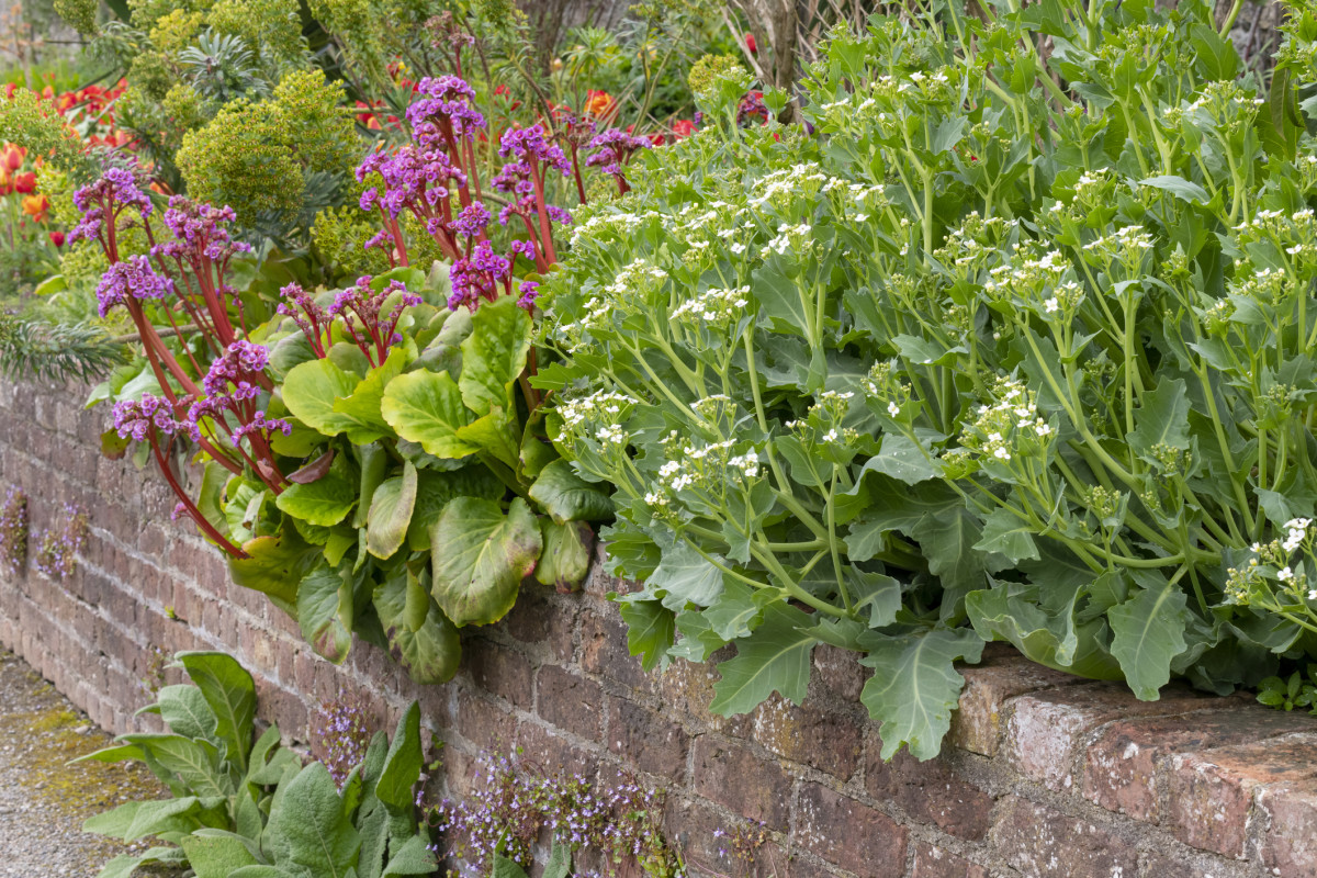 35 Landscape Edging Ideas for an Extra Classy Lawn and Garden - Parade ...