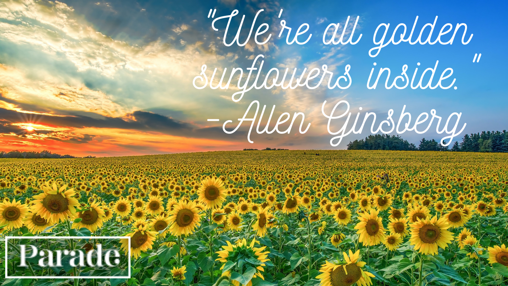 75 Sunflower Quotes to Bring You Joy - Parade Home & Garden