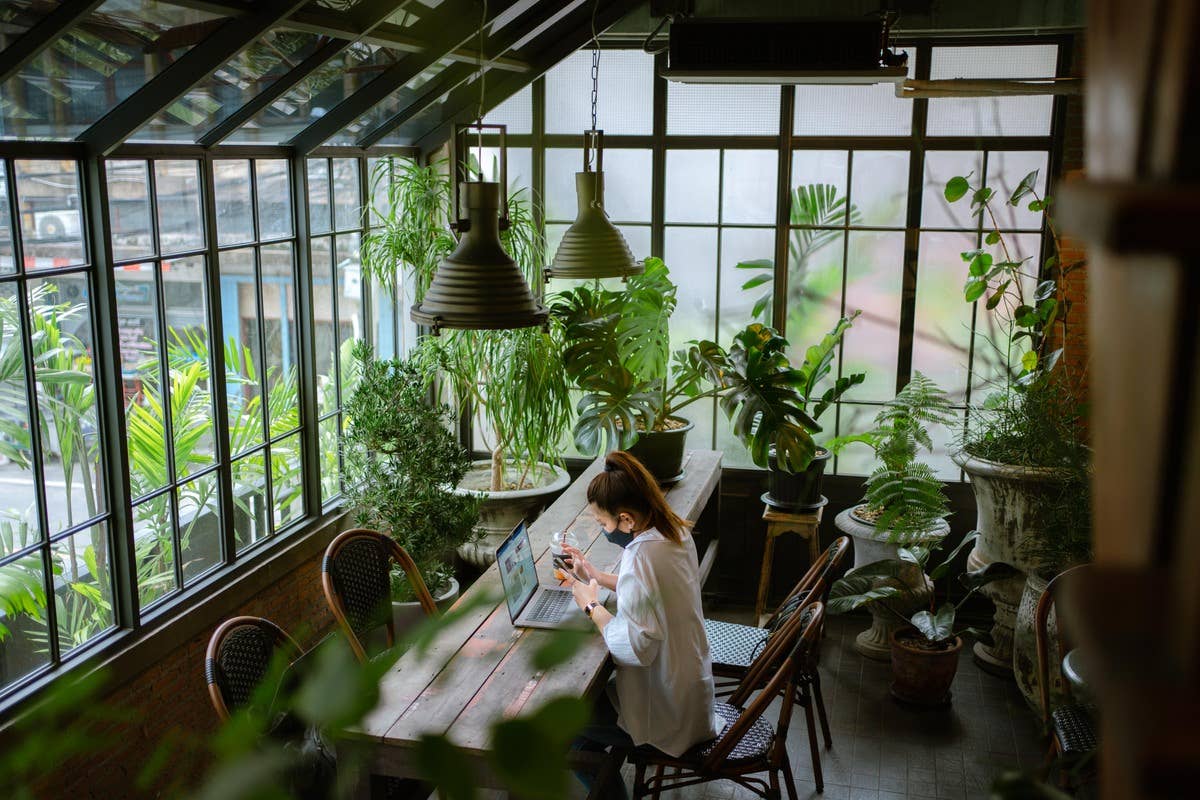 TikTok Greenhouse Study Space Is the Ultimate Cozy Inspiration - Parade ...