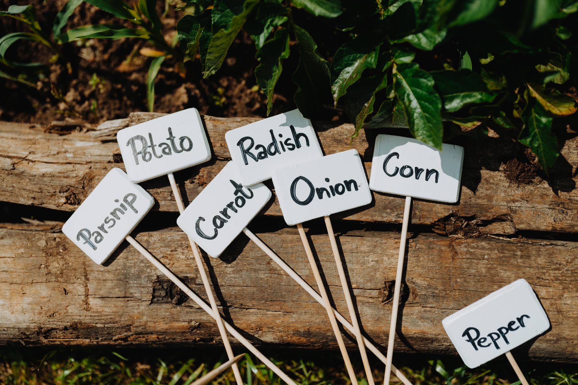 Crafter Shares Simple DIY Garden Markers and We Can't Wait to Make Them ...