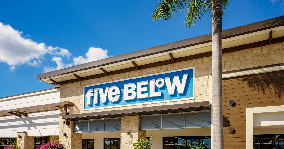 This Tote Bag From Five Below Looks Exactly Like The Coveted Bogg Bag ...