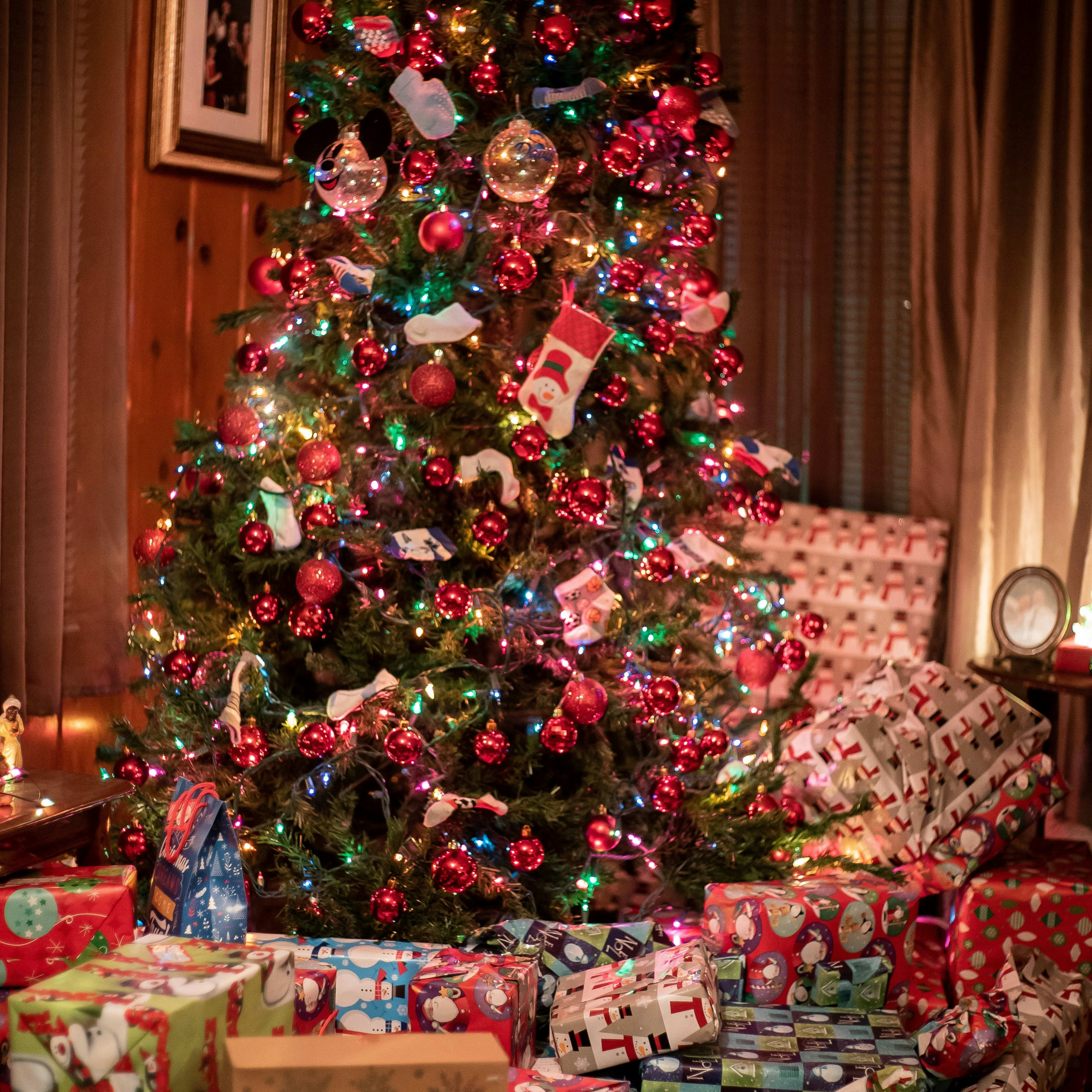 Home Depot Has Storage Totes for $2.50 and People Love Them - Parade ...