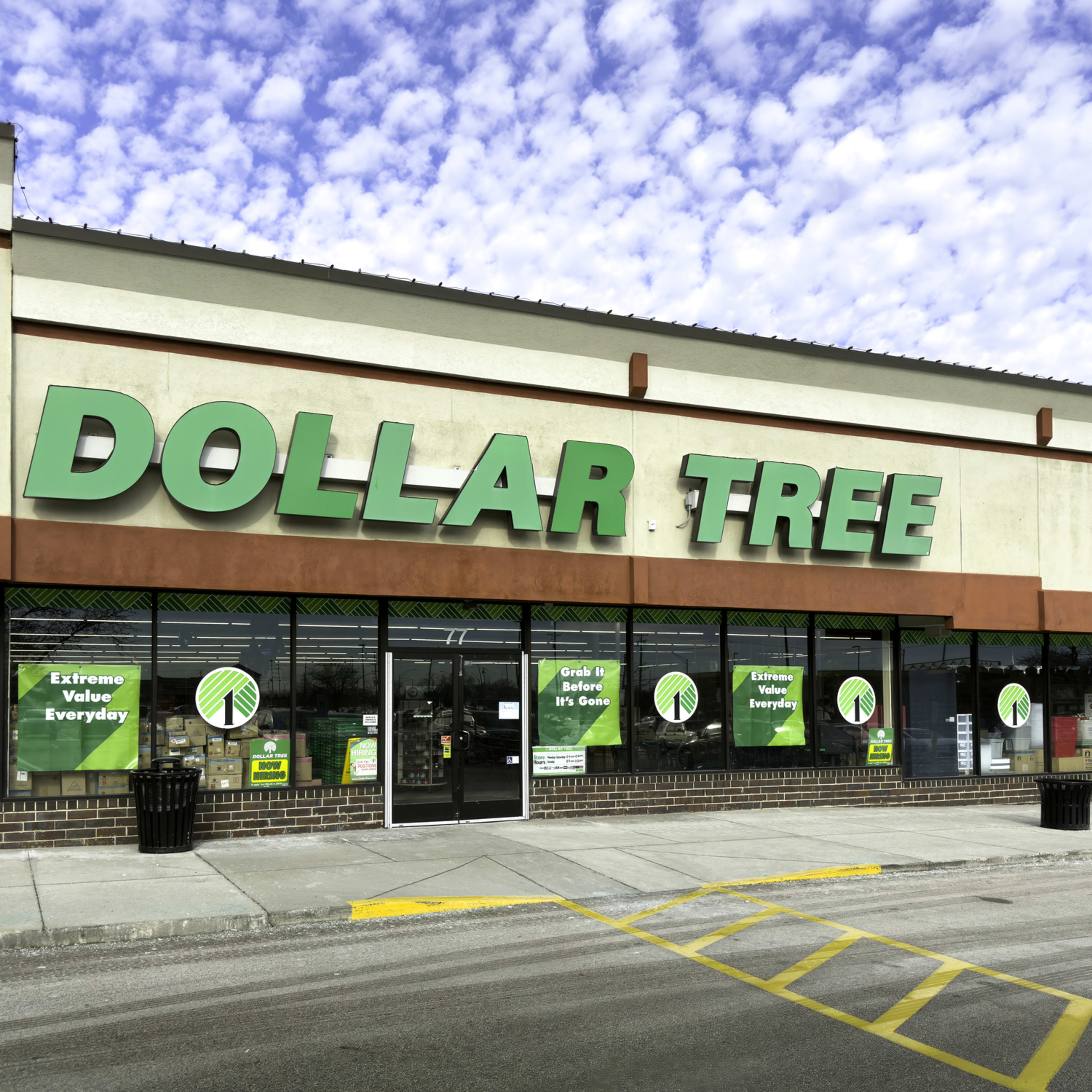 Dollar Tree Has Gardening Supplies At Mindblowing Prices - Parade Home & Garden