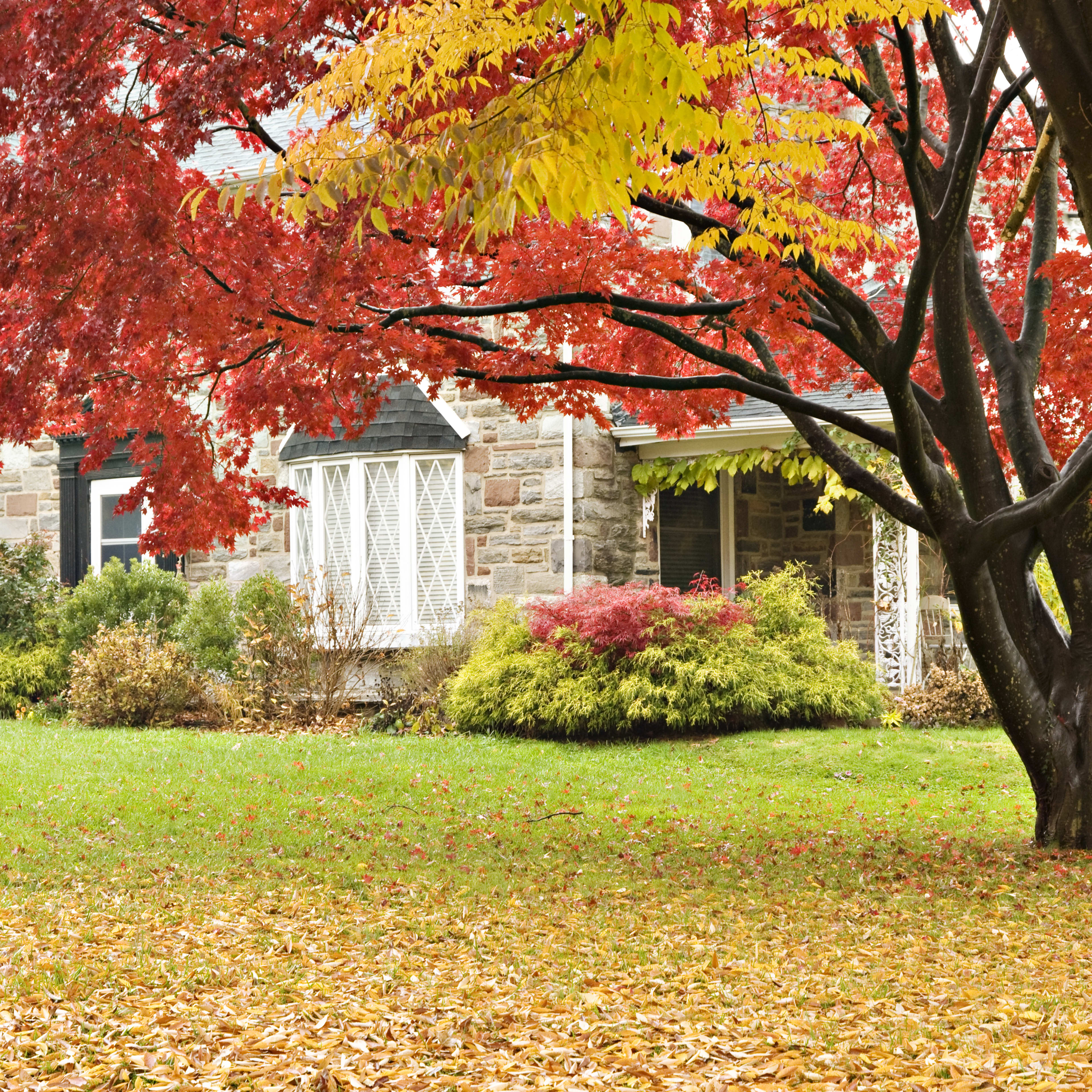 31 Smart and Surprising Ways To Save Money on Your Electric Bills This ...