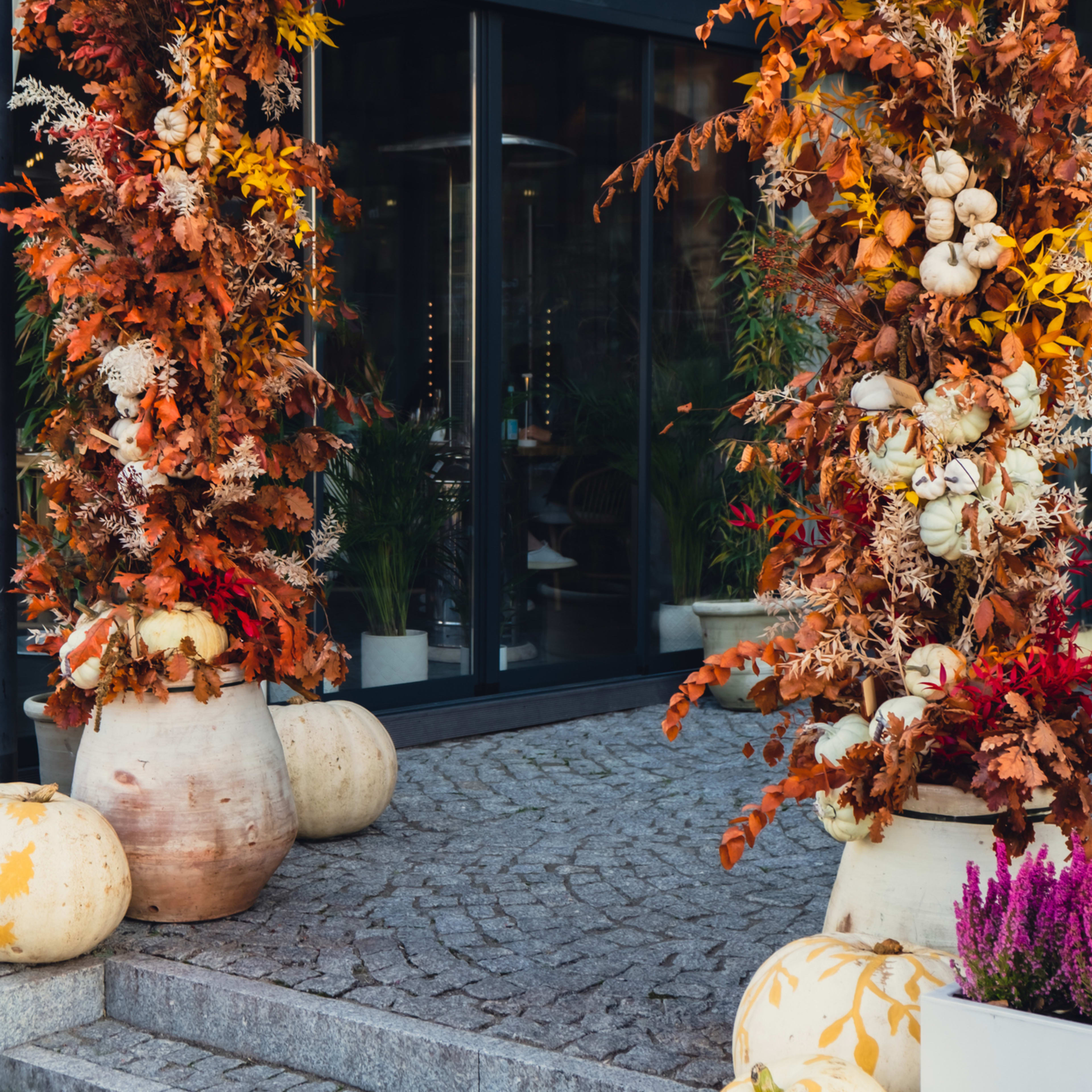 Why Did Jasmine Roth Move to Utah? HGTV Star Opens Up - Parade Home ...