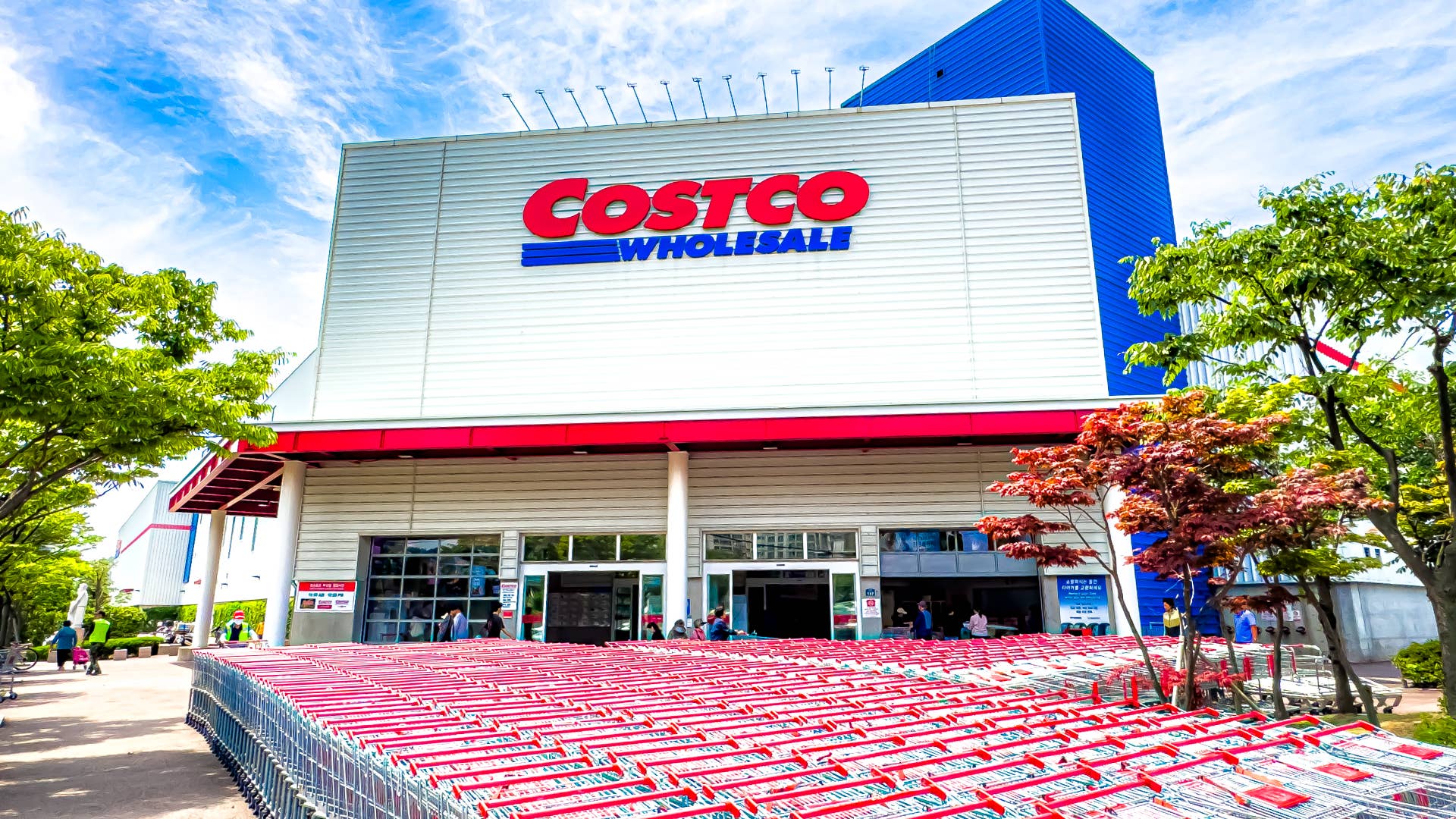 Costco’s Ceramic Bowl Set Is $13 on Clearance and Going Fast - Parade ...