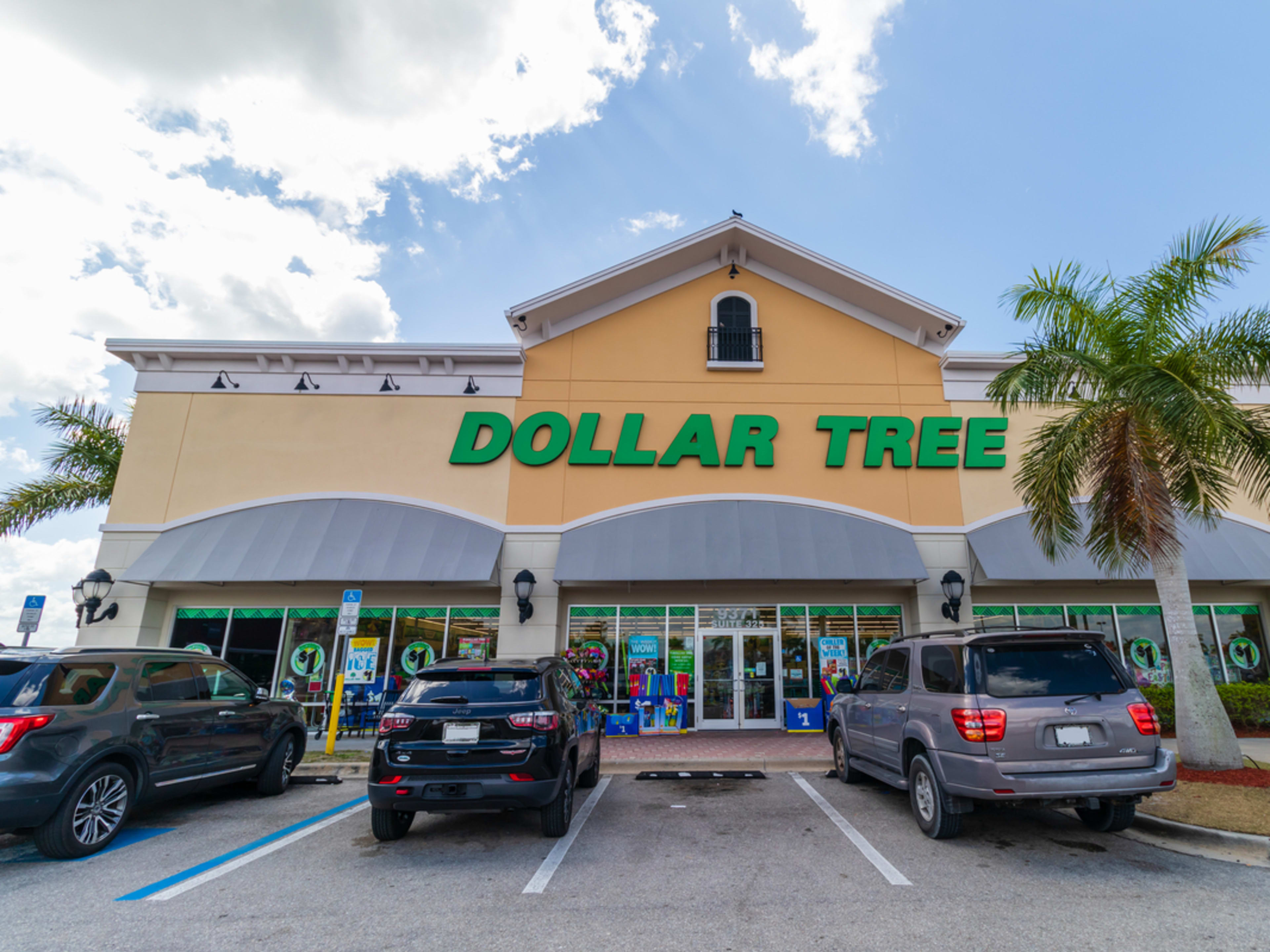 This $1.25 Find From Dollar Tree Will Transform the Way You Store Your ...