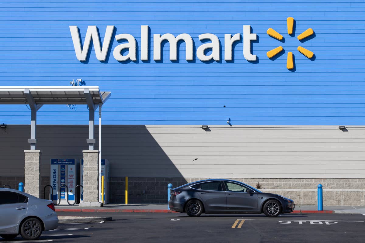 $40 Walmart Skeleton Is Totally Giving $150 Pottery Barn Vibes - Parade ...