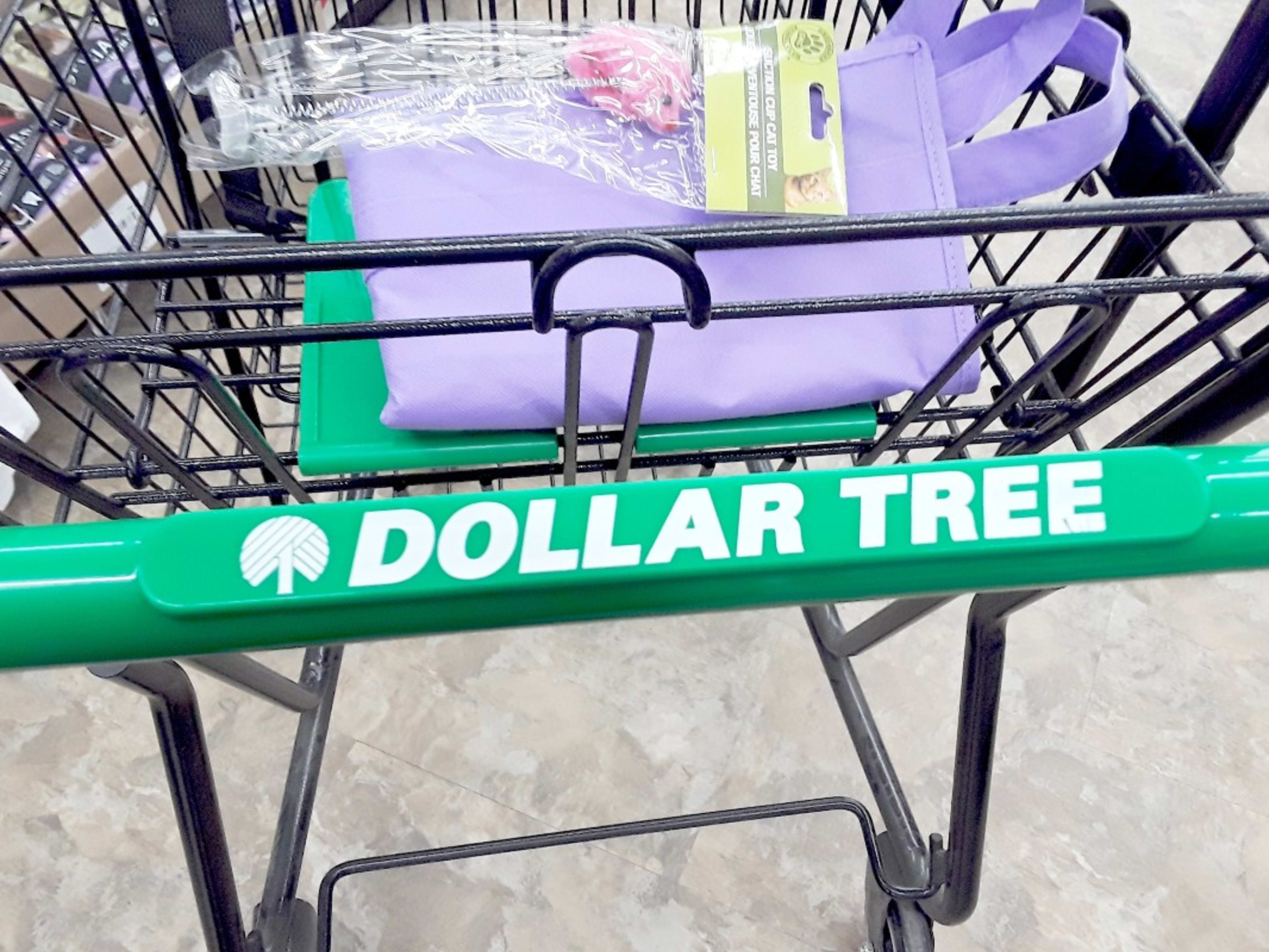 Top 10 Dollar Tree Kitchen Organization Must Haves