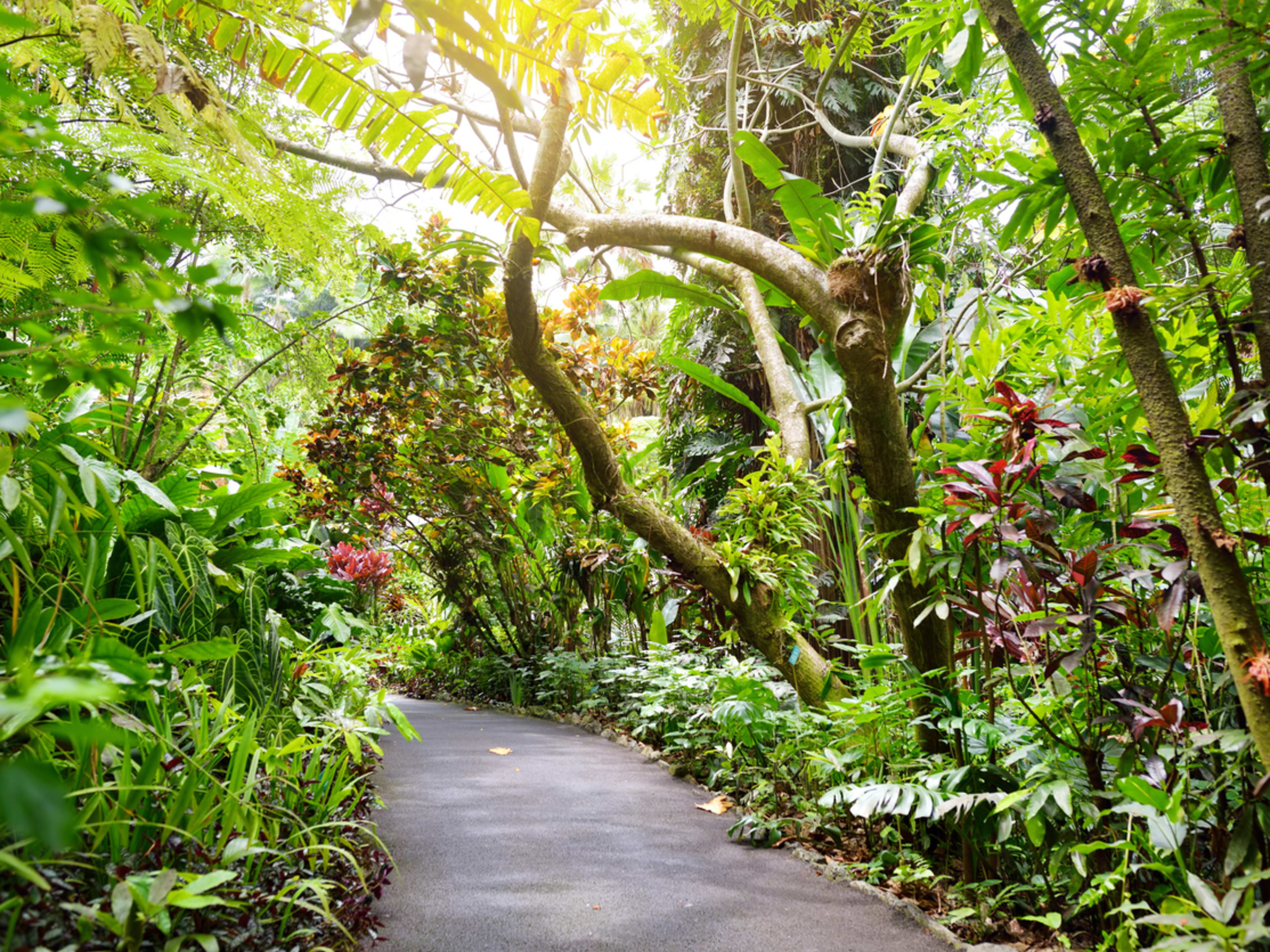 10 Best Virtual Garden Tours—Gardens You Can Virtually Tour Online ...