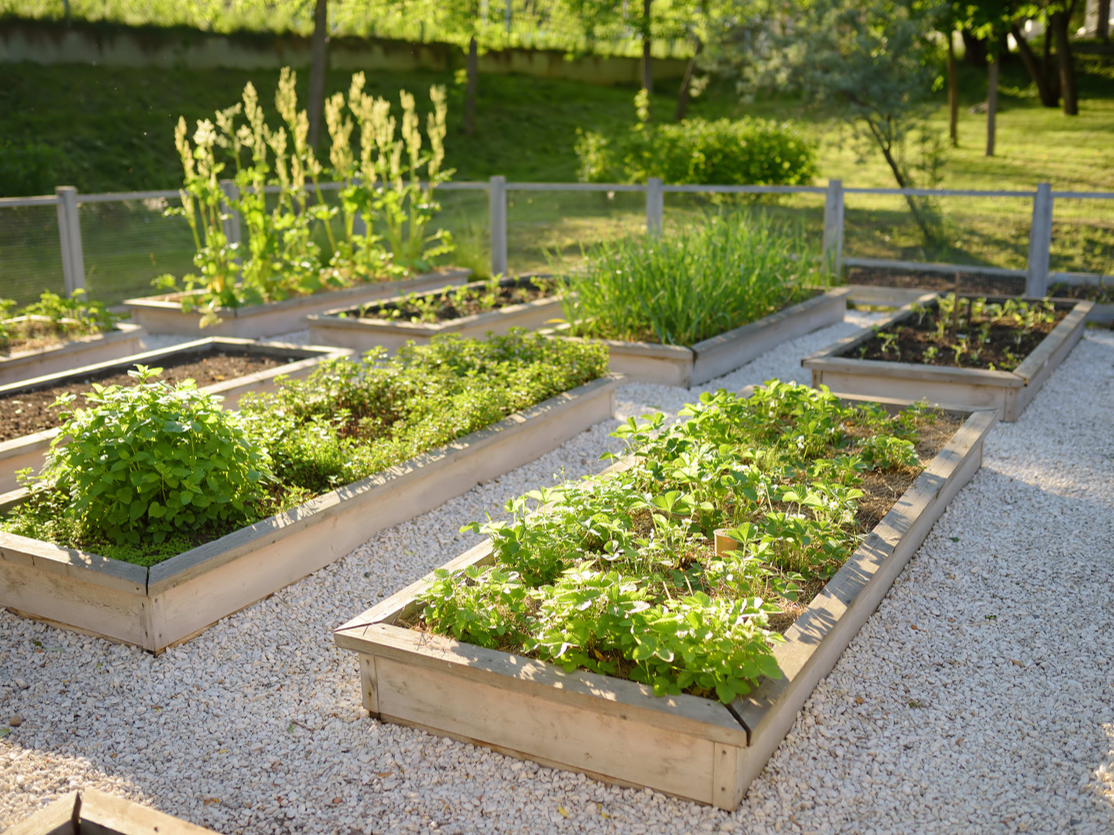 Community Gardening Community Gardening Amazing Garden Ideas 26 DIY