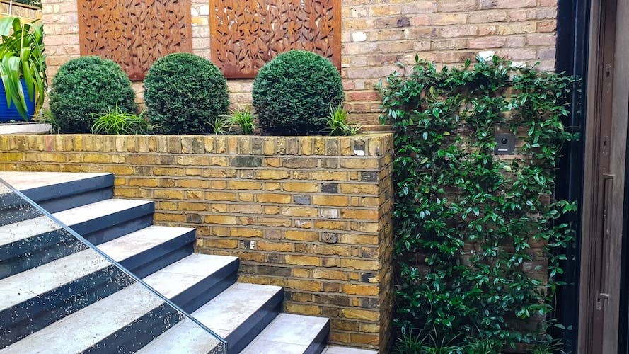 20 Small Evergreen Shrubs to Add Year-Round Color to Your Yard, Porch ...