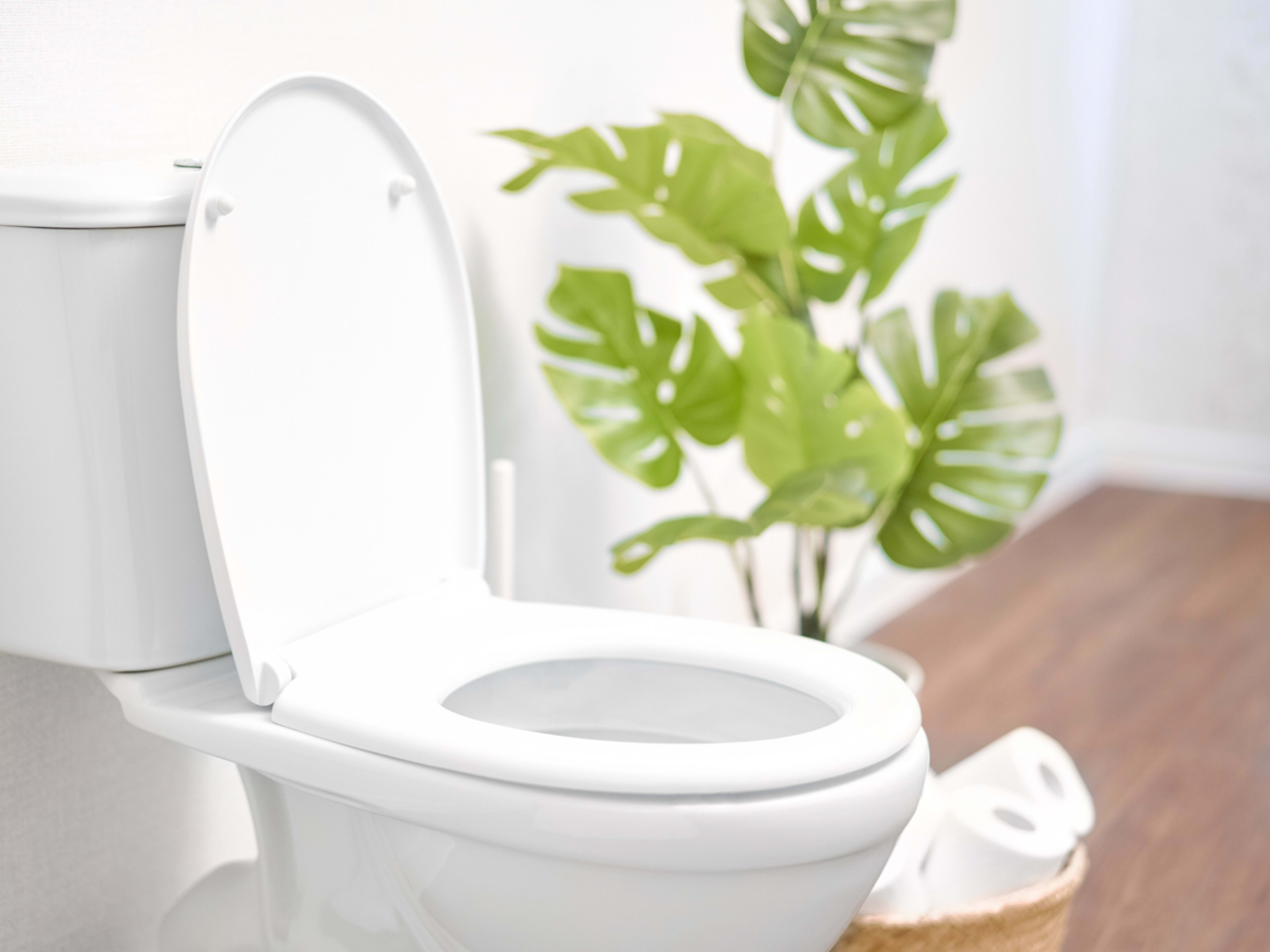 35 Funny Slang Names for the Toilet - Parade Home & Garden