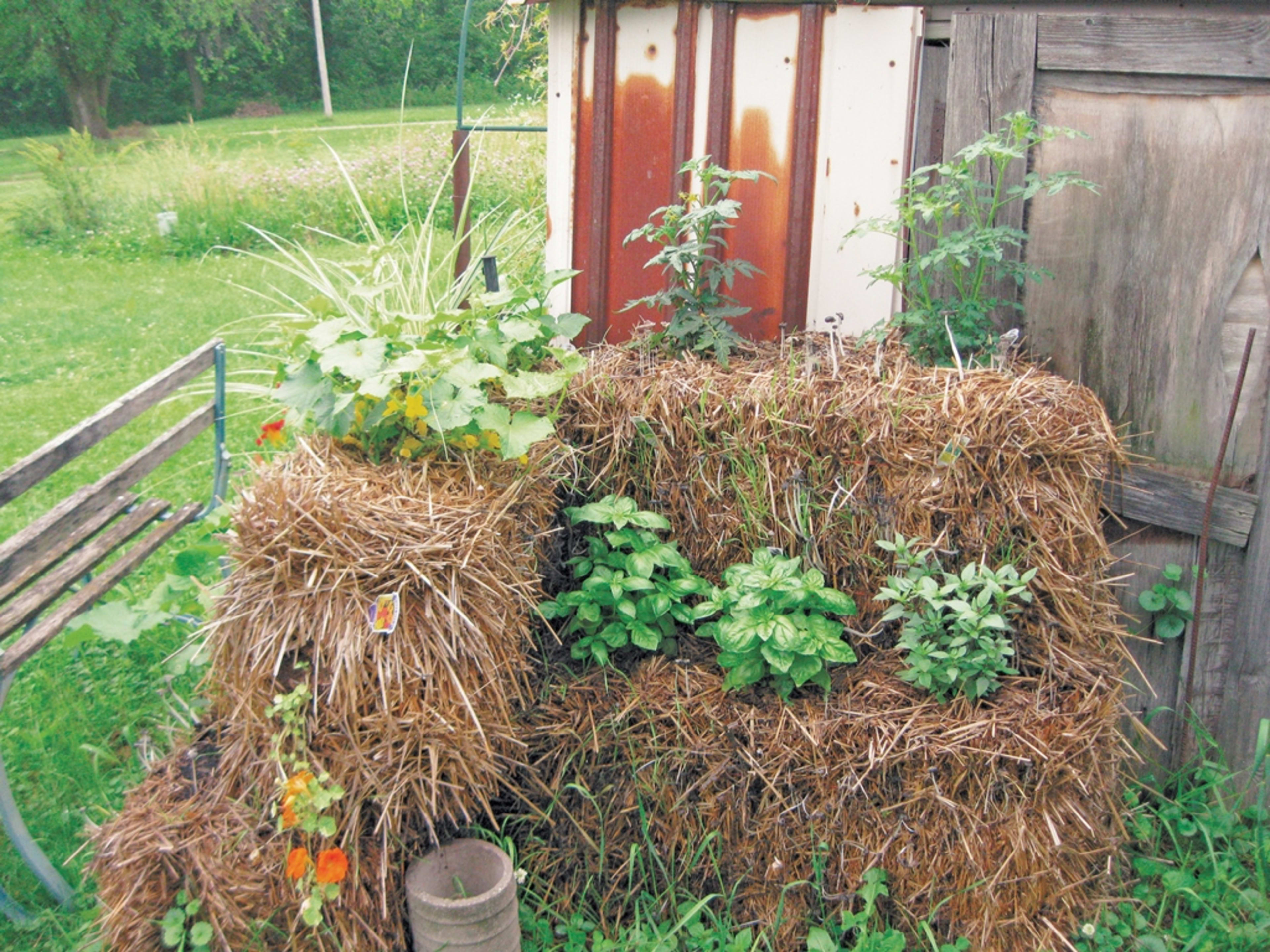 "Straw Bale Gardening" May Be the Perfect Answer for Greening Up Your ...