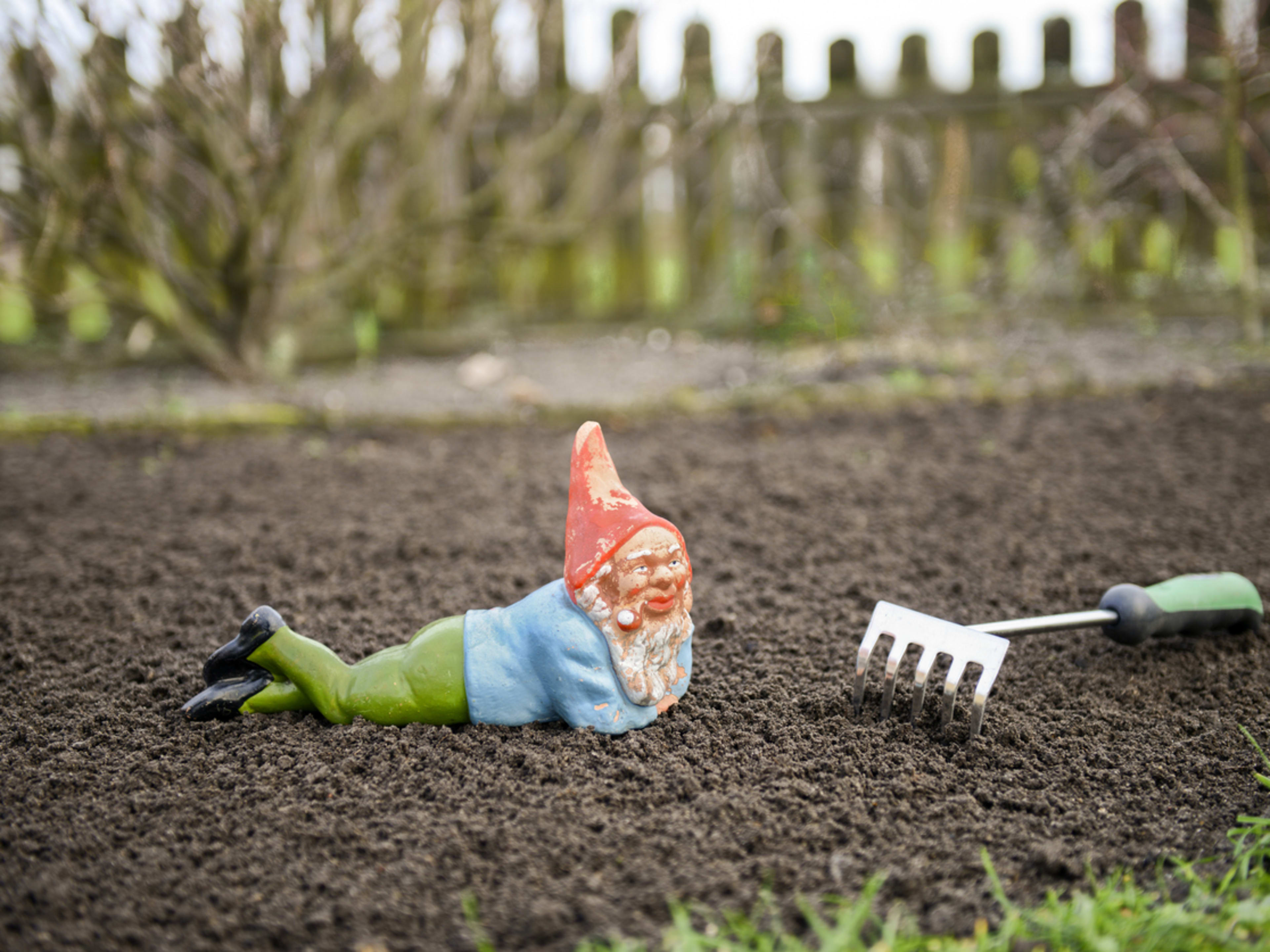 30+ Funny Plant Memes - Parade Home & Garden