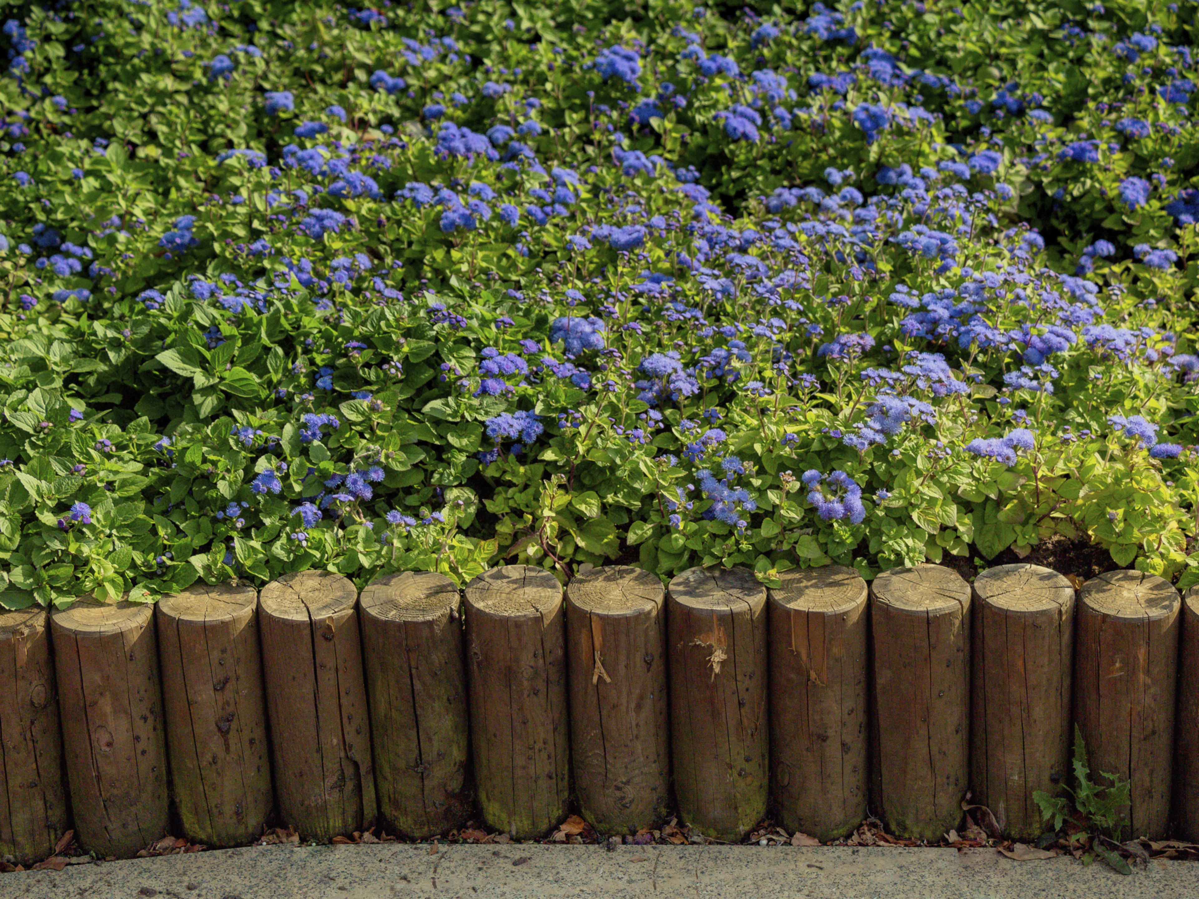 35 Landscape Edging Ideas for an Extra Classy Lawn and Garden - Parade ...